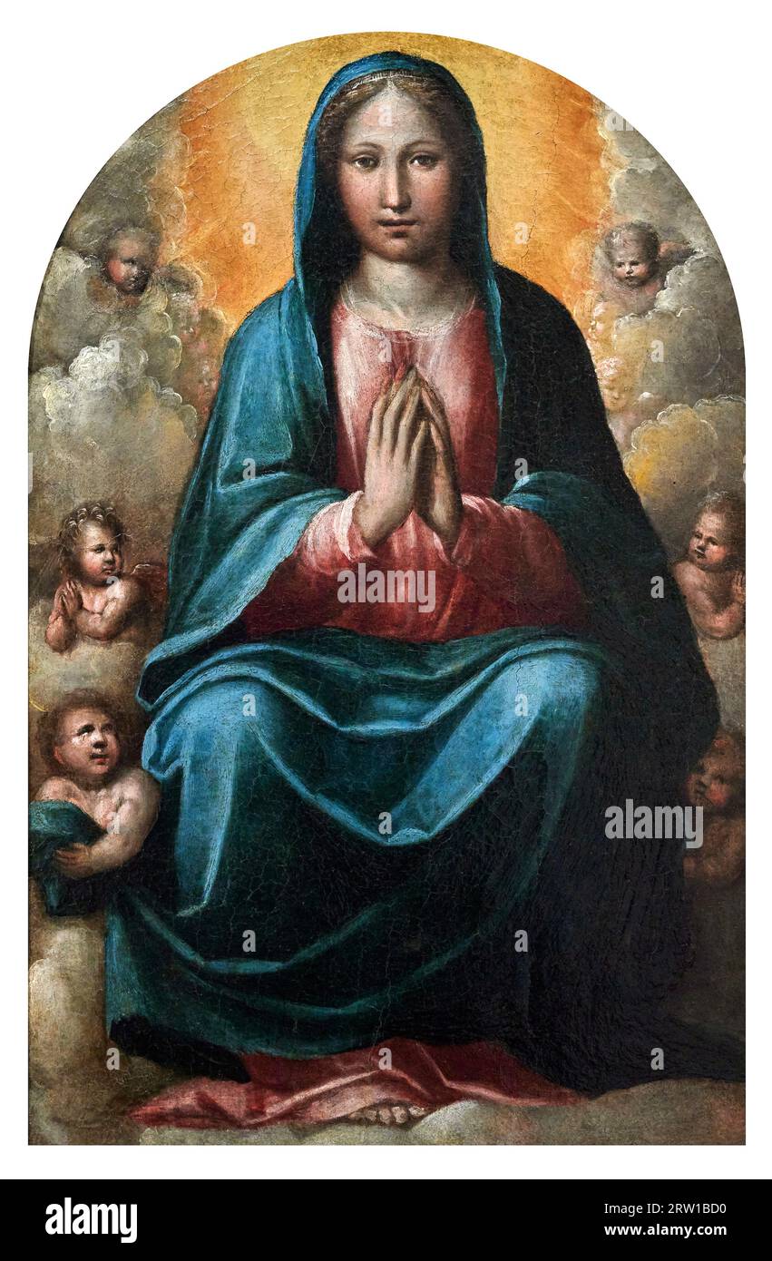 Madonna tra angeli e cherubini - olio su tela - Bartolomeo Neroni detto il Riccio - XVI secolo ...