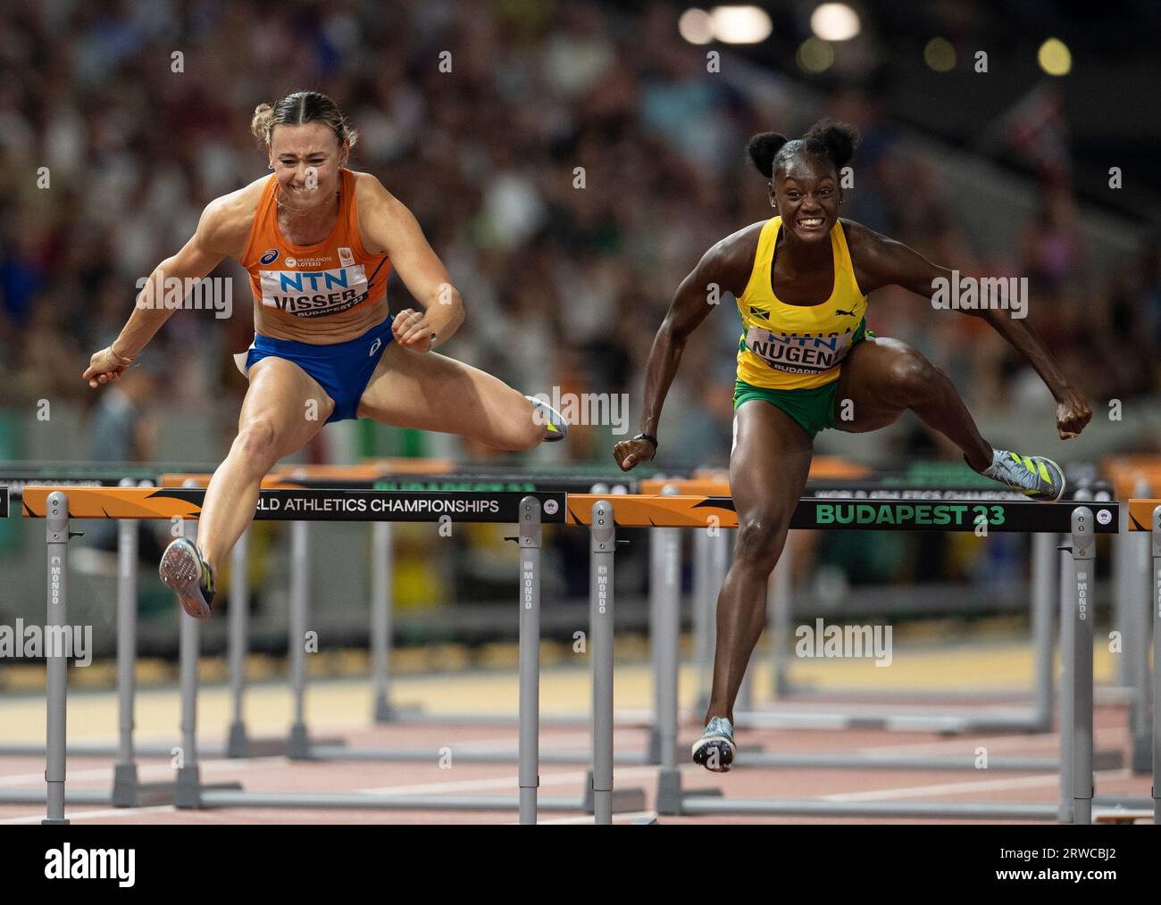 Nadine visser weitsprung -Fotos und -Bildmaterial in hoher Auflösung – Alamy