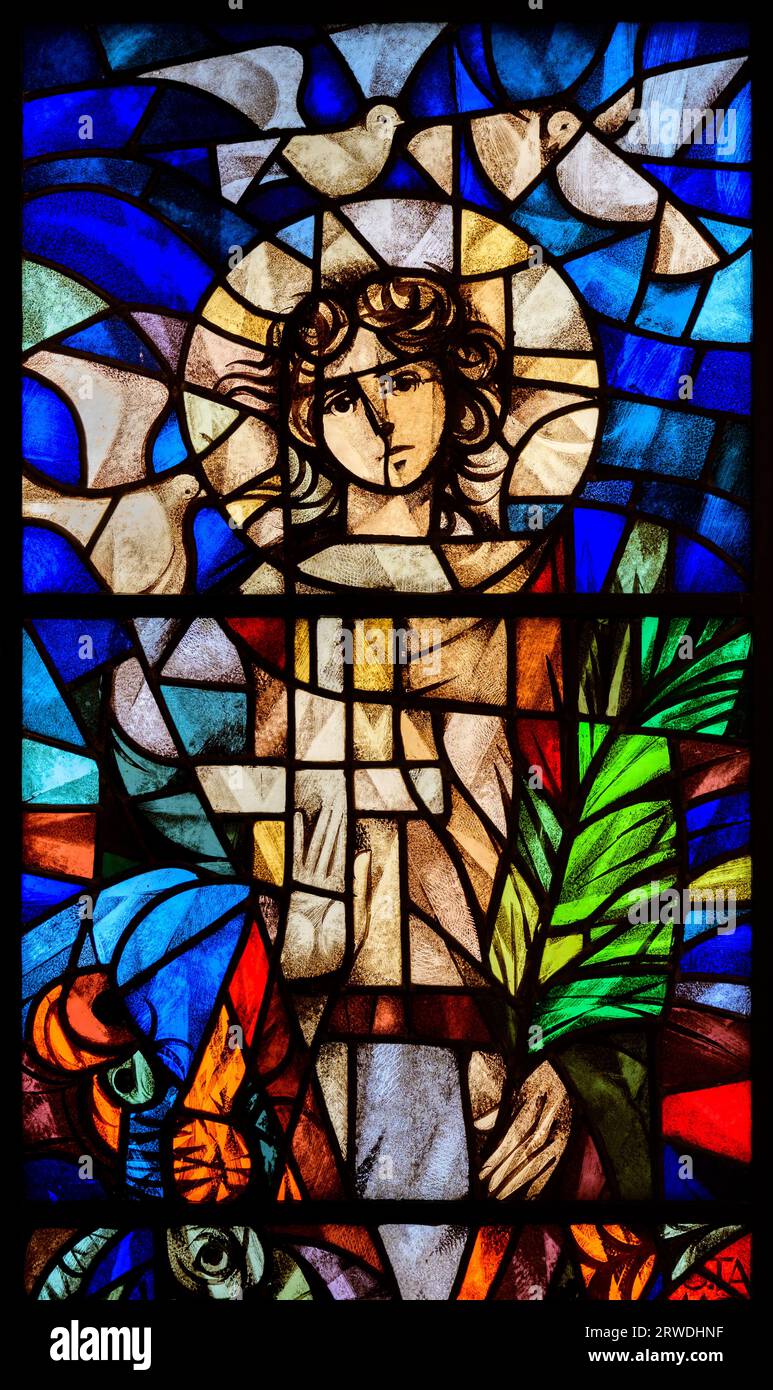 Margarida de antioquia -Fotos und -Bildmaterial in hoher Auflösung – Alamy