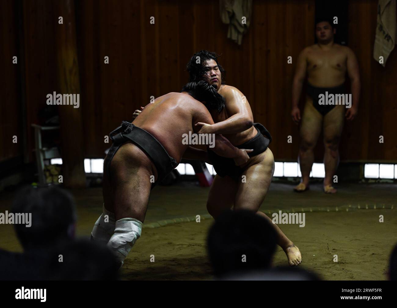 Sumo-Wrestler kämpfen im Tatsunami Beya Sumo Stall, Region Kanto, Tokio ...