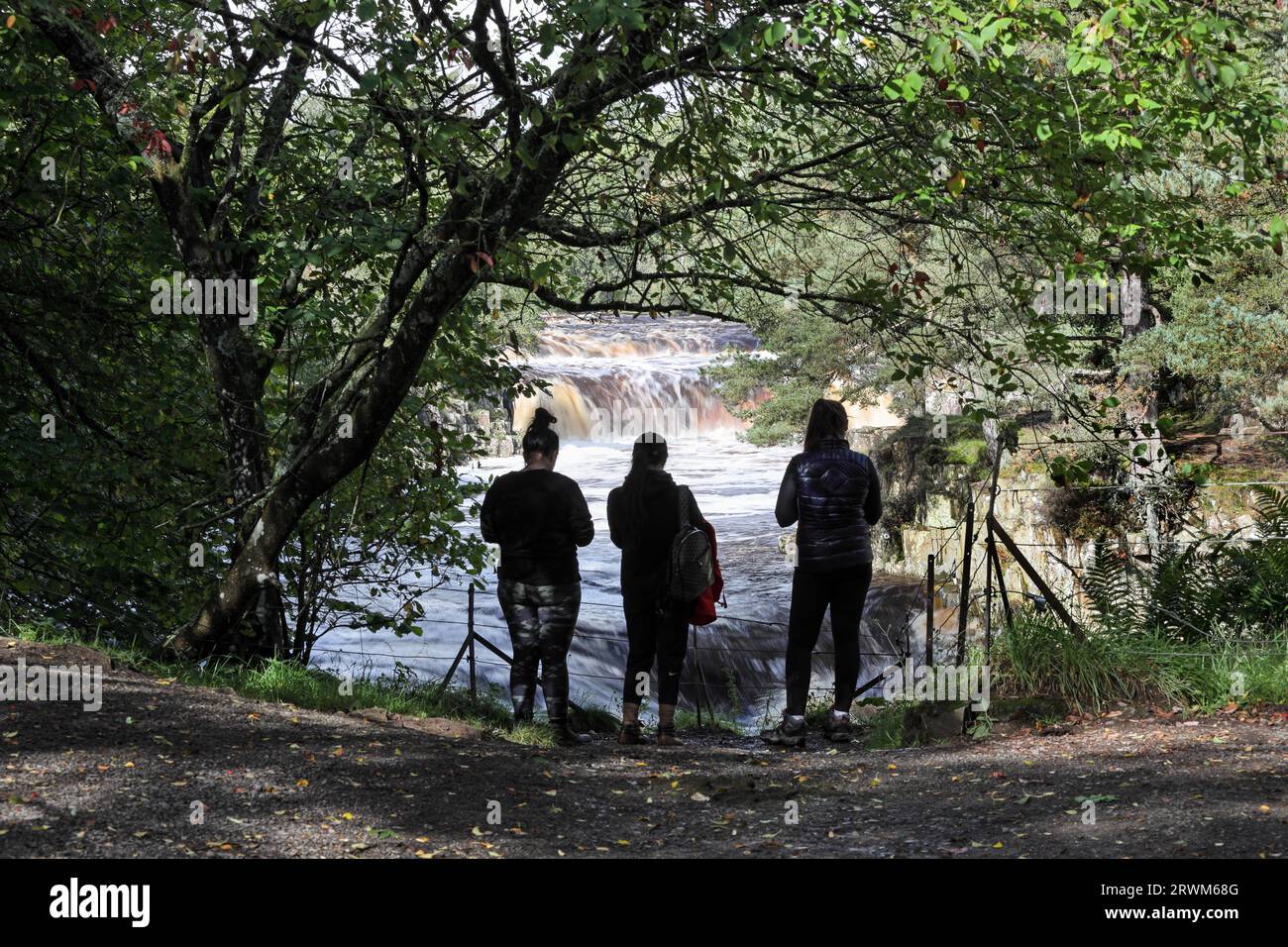 Hochwasser im fluss -Fotos und -Bildmaterial in hoher Auflösung – Alamy