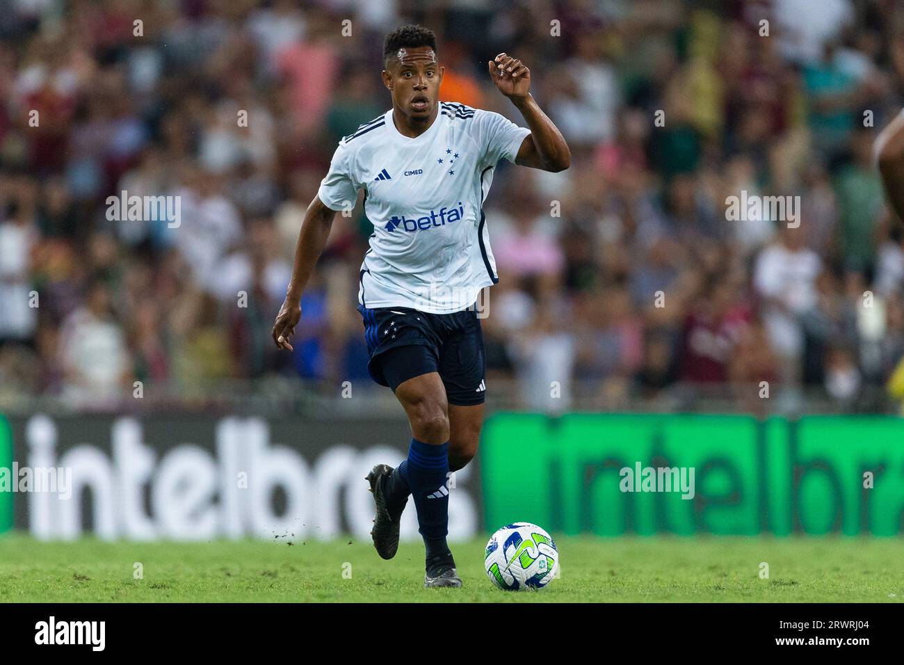 Fluminense gegen cruzeiro -Fotos und -Bildmaterial in hoher Auflösung ...