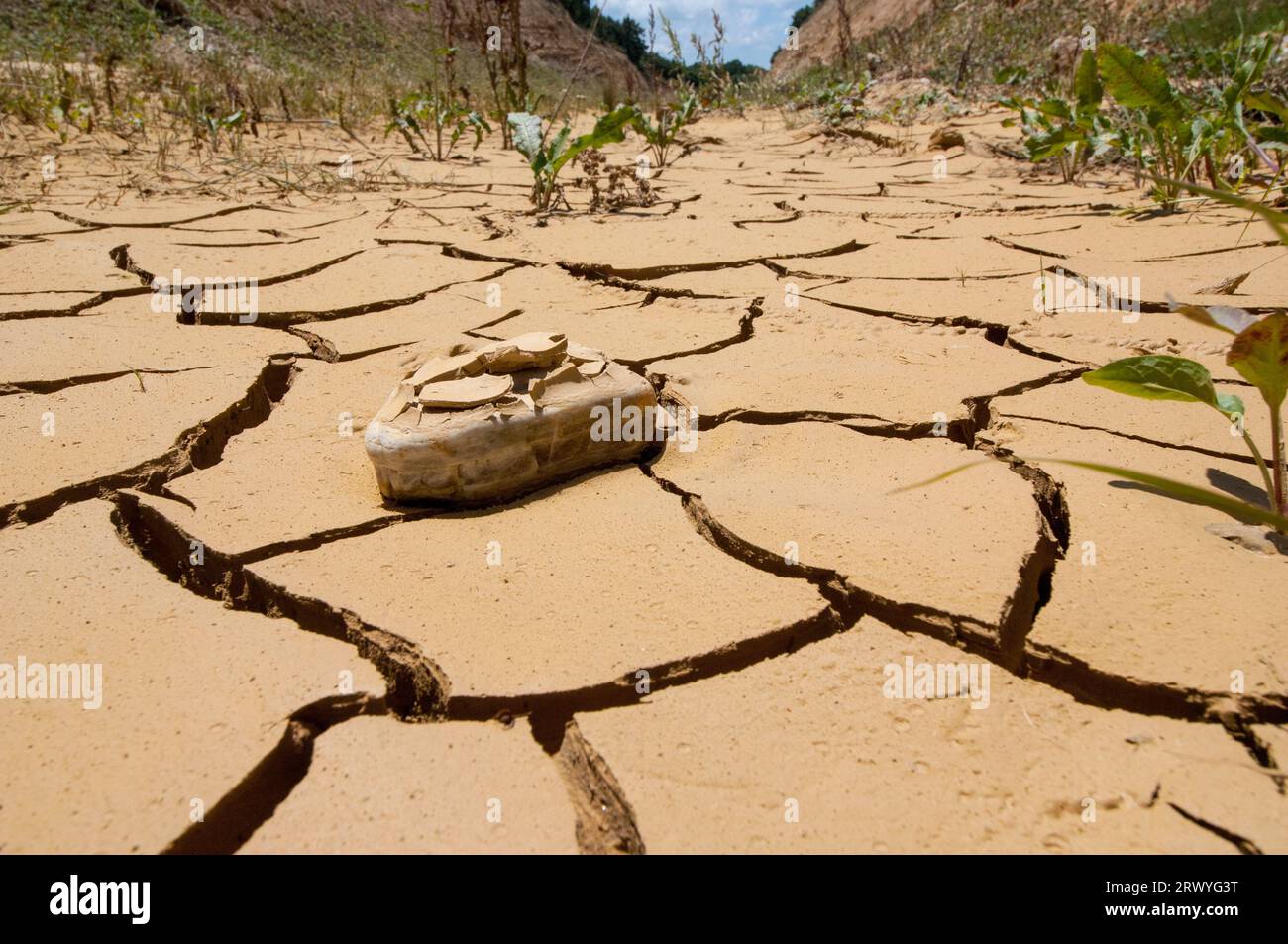 Eine zukunft erschaffen -Fotos und -Bildmaterial in hoher Auflösung – Alamy