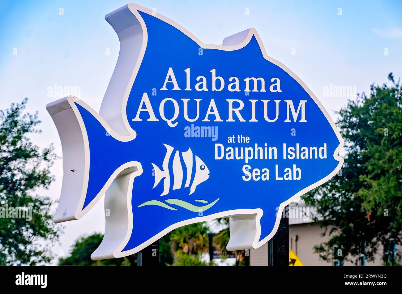Alabama aquarium -Fotos und -Bildmaterial in hoher Auflösung – Alamy