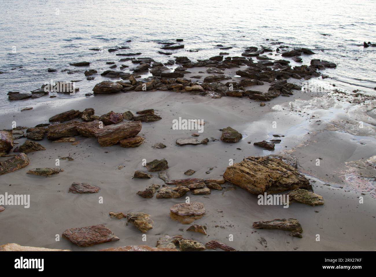 Darwin nt -Fotos und -Bildmaterial in hoher Auflösung – Alamy