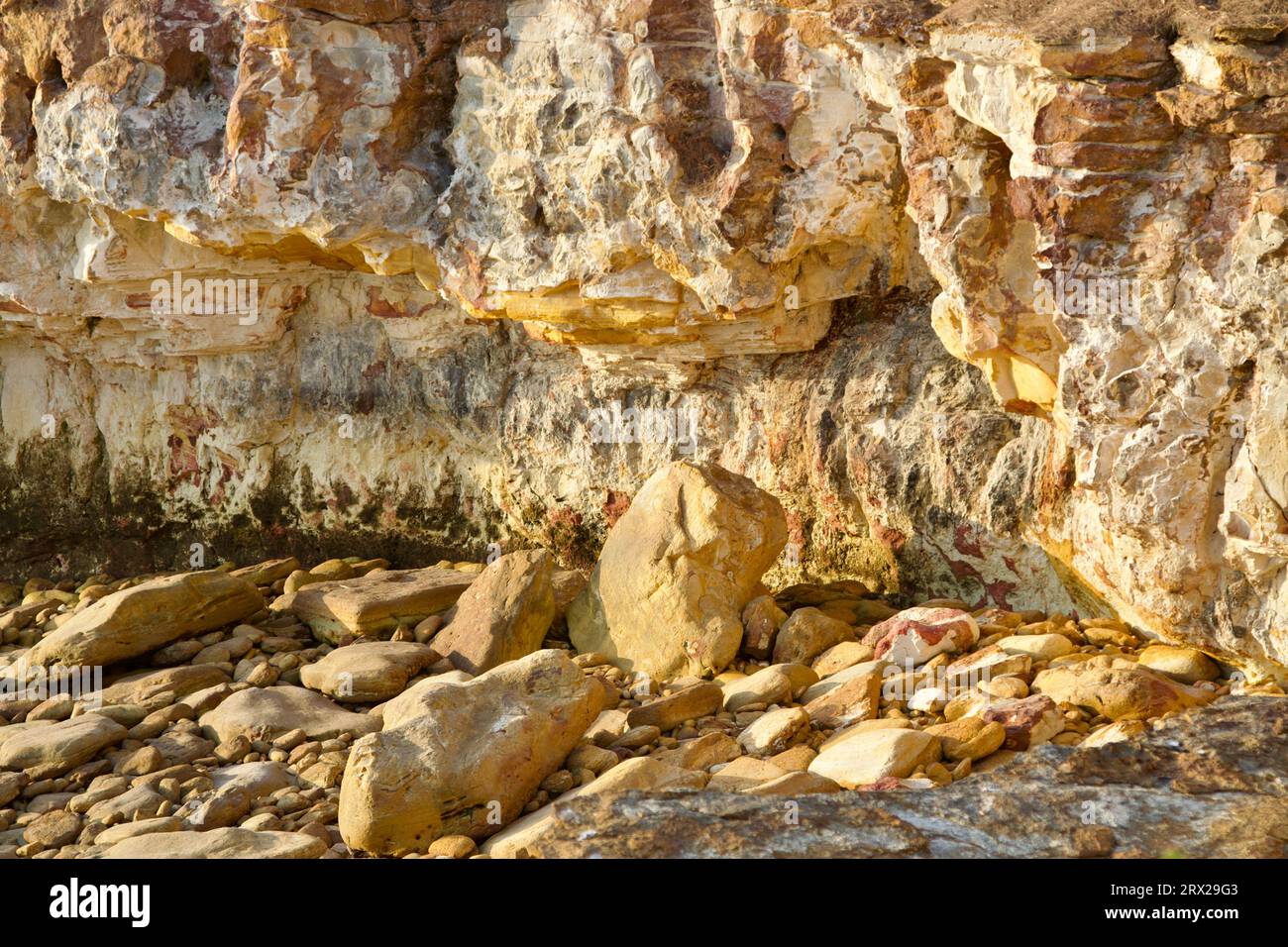 Darwin nt -Fotos und -Bildmaterial in hoher Auflösung – Alamy