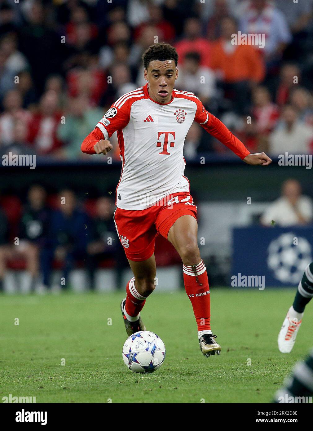 Jamal musiala sport -Fotos und -Bildmaterial in hoher Auflösung – Alamy