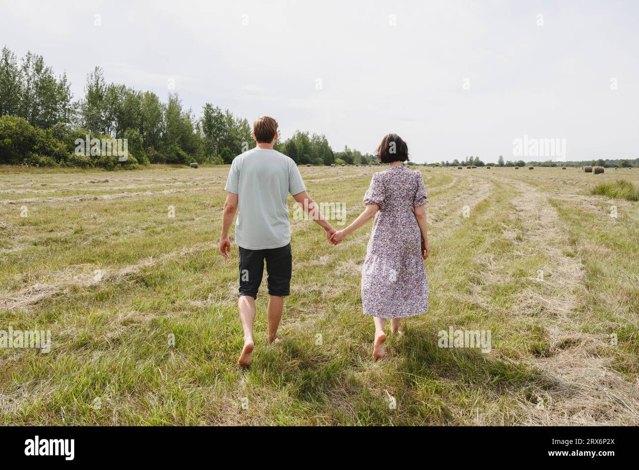 Field hands -Fotos und -Bildmaterial in hoher Auflösung – Alamy
