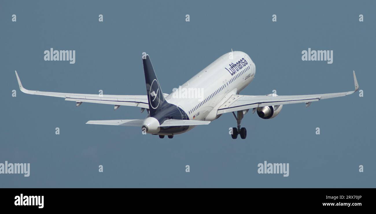 Avion de linea -Fotos und -Bildmaterial in hoher Auflösung – Alamy