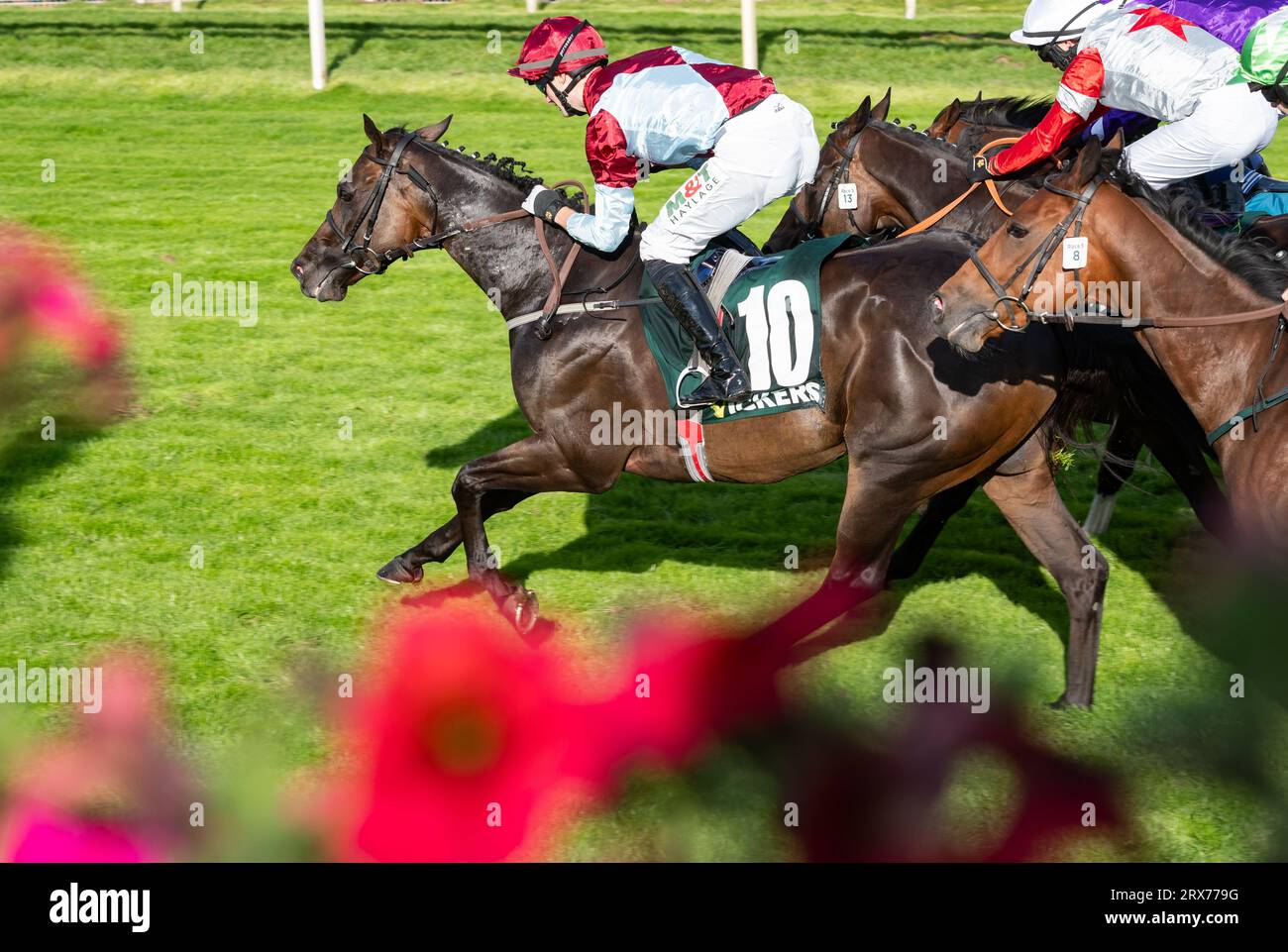 York Racecourse, York, Großbritannien, Samstag, 23. September 2023 ...