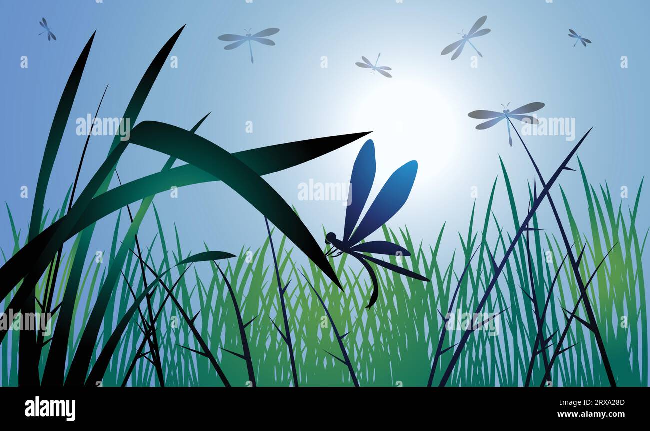 Dragonfly vector vectors -Fotos und -Bildmaterial in hoher Auflösung – Alamy