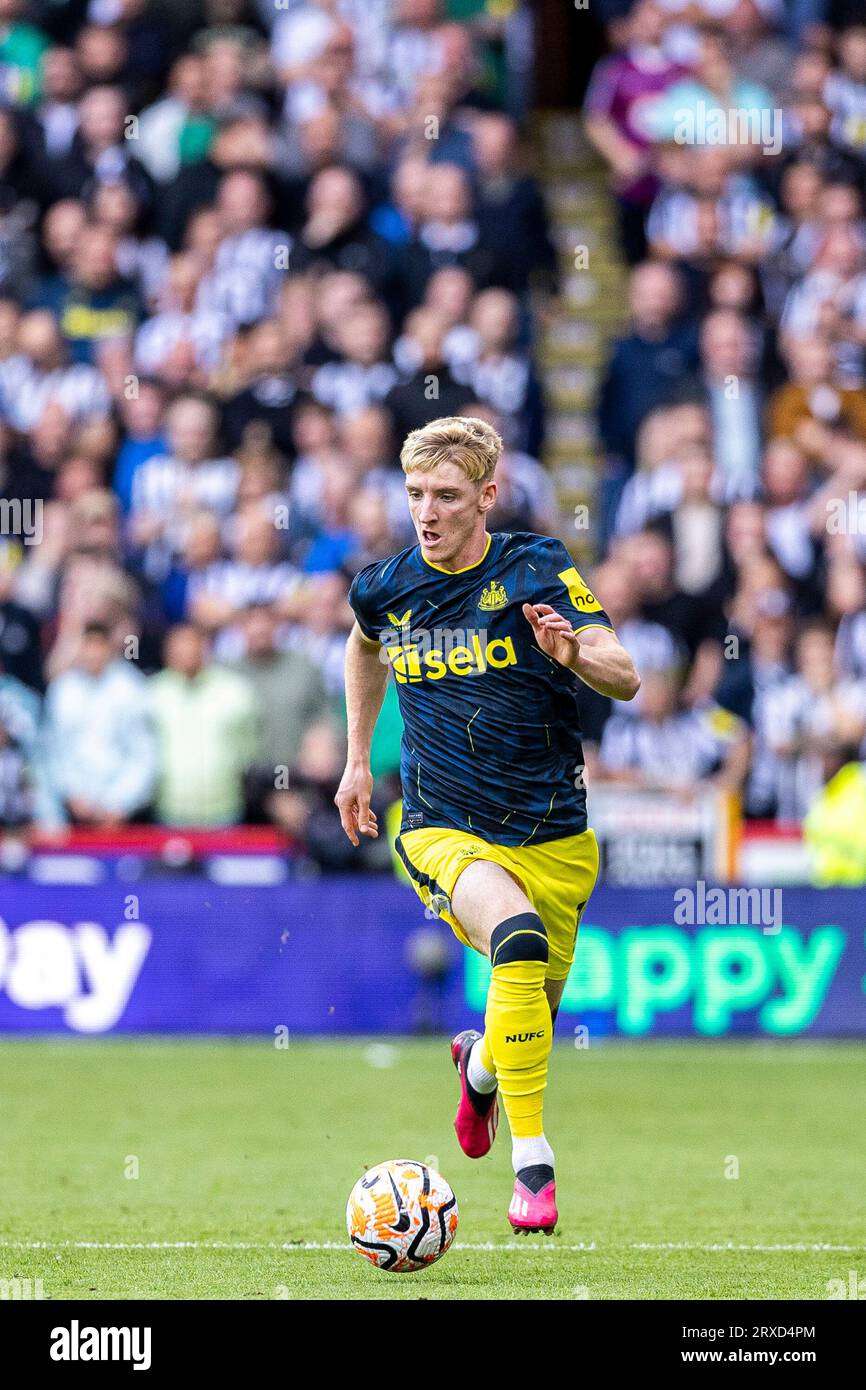 Anthony bramall -Fotos und -Bildmaterial in hoher Auflösung – Alamy