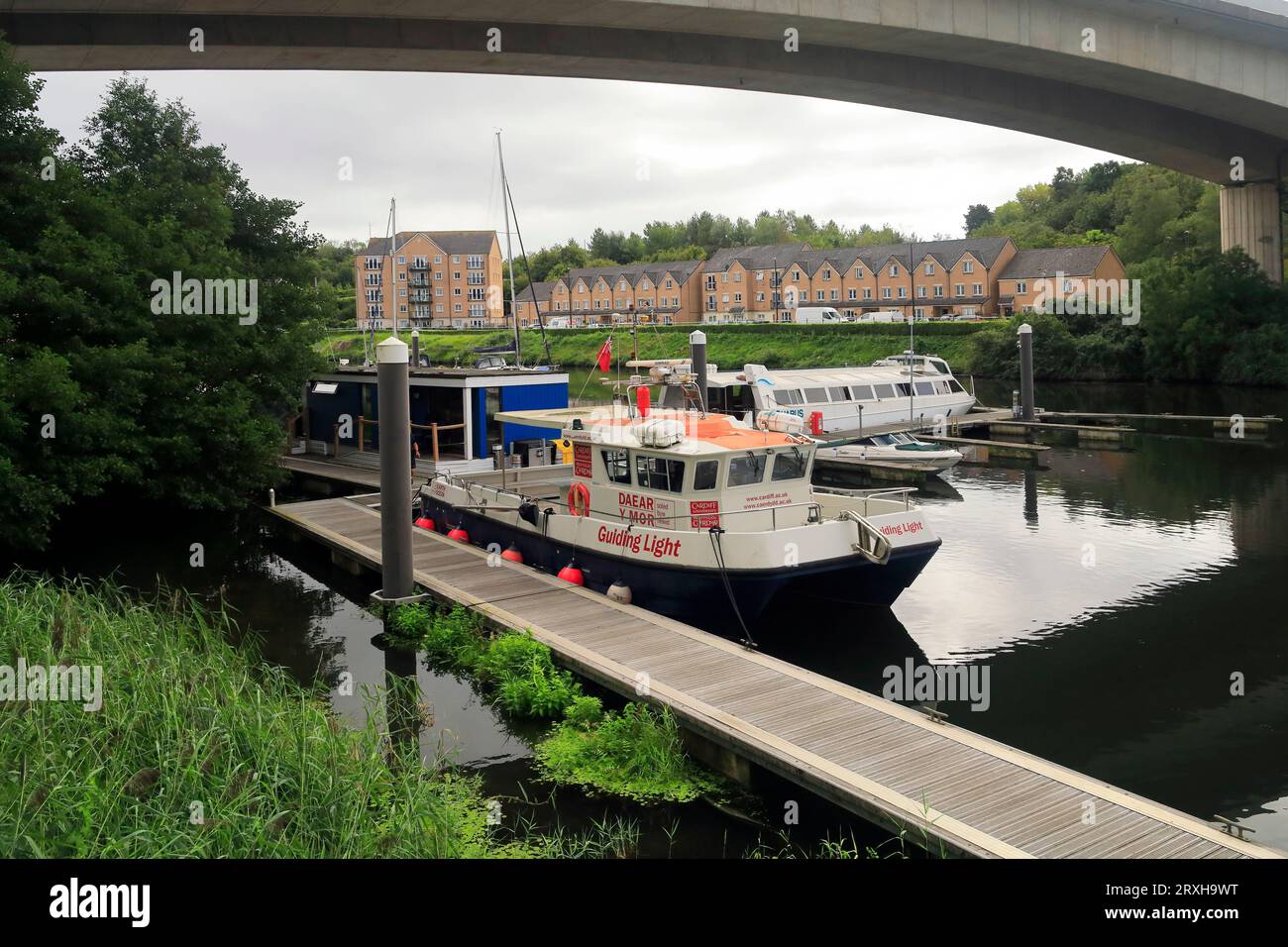 Light research -Fotos und -Bildmaterial in hoher Auflösung – Alamy