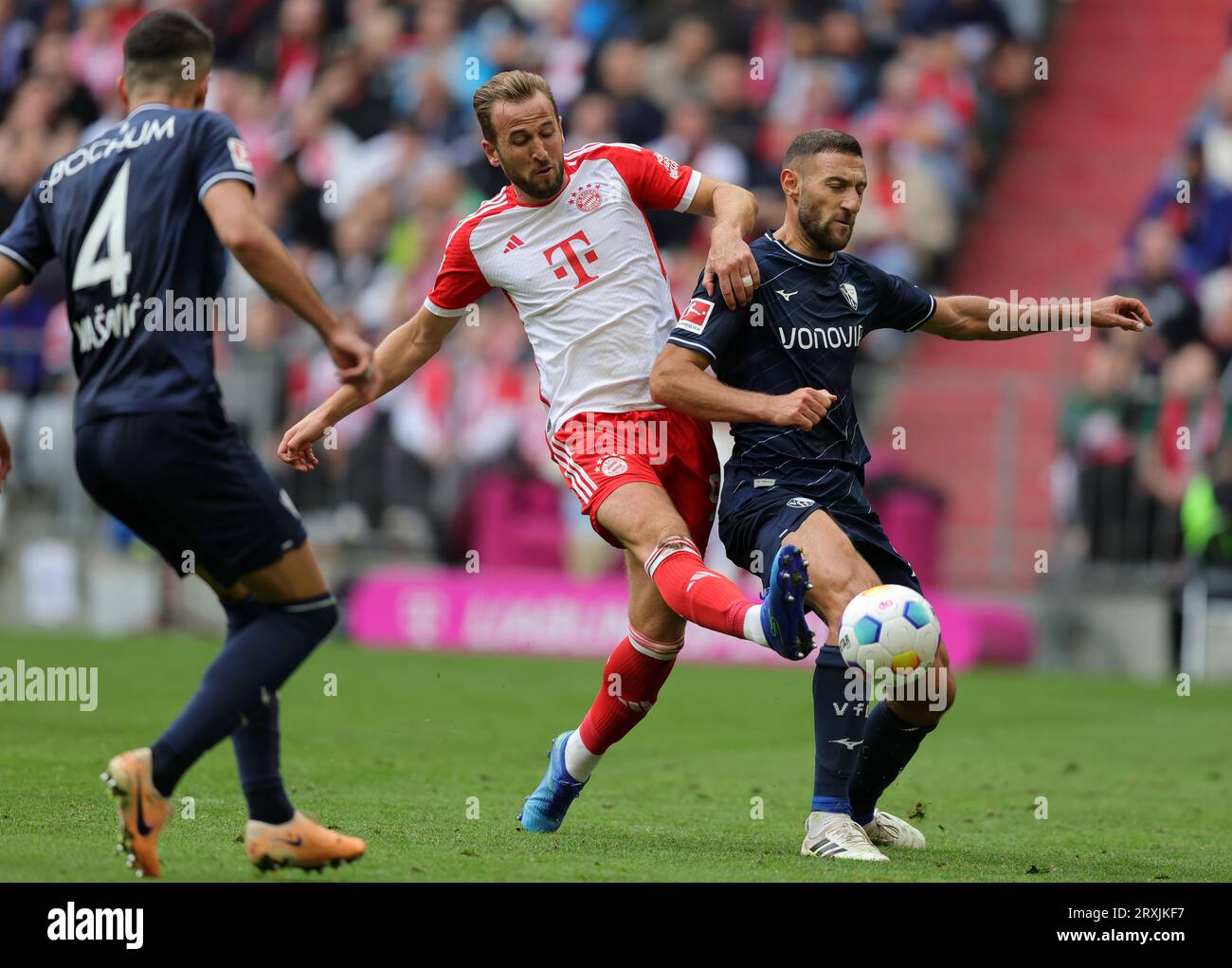 Harry Kane vom FC Bayern München, Ivan Ordets von VFL Bochum FC Bayern ...