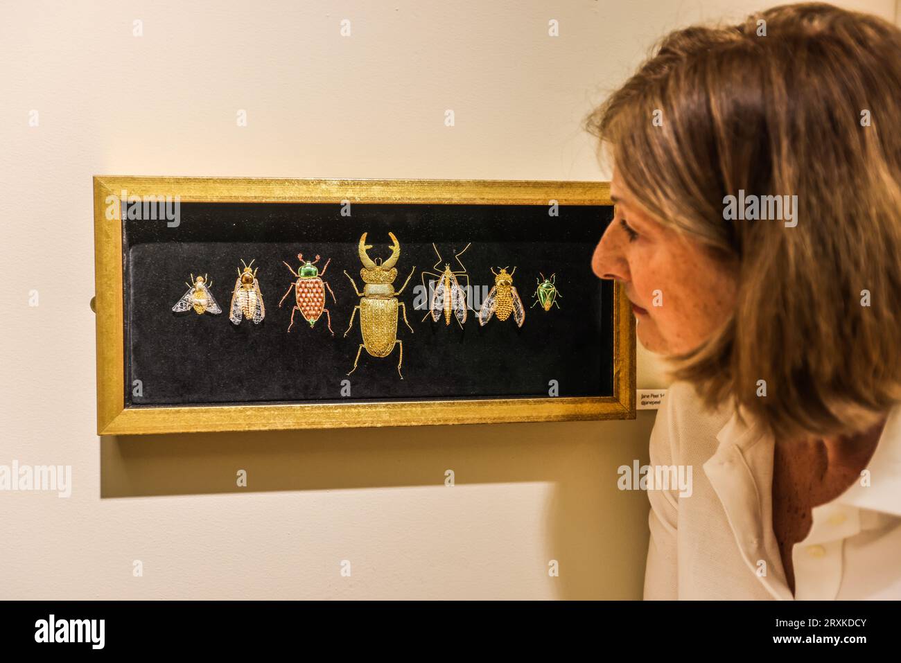 Verwickelte tiere -Fotos und -Bildmaterial in hoher Auflösung – Alamy