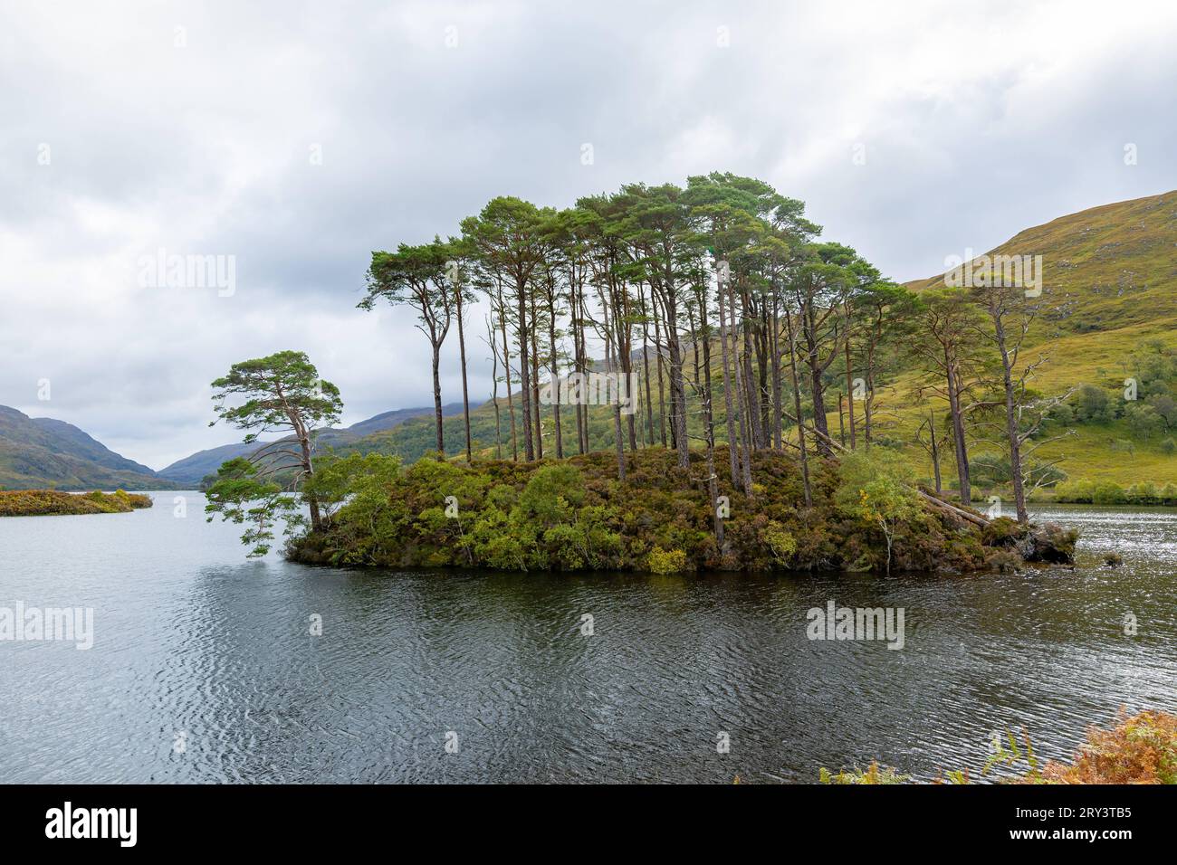 Die Insel Eilean na Moine im Süßwasser See Loch Eilt in den ...