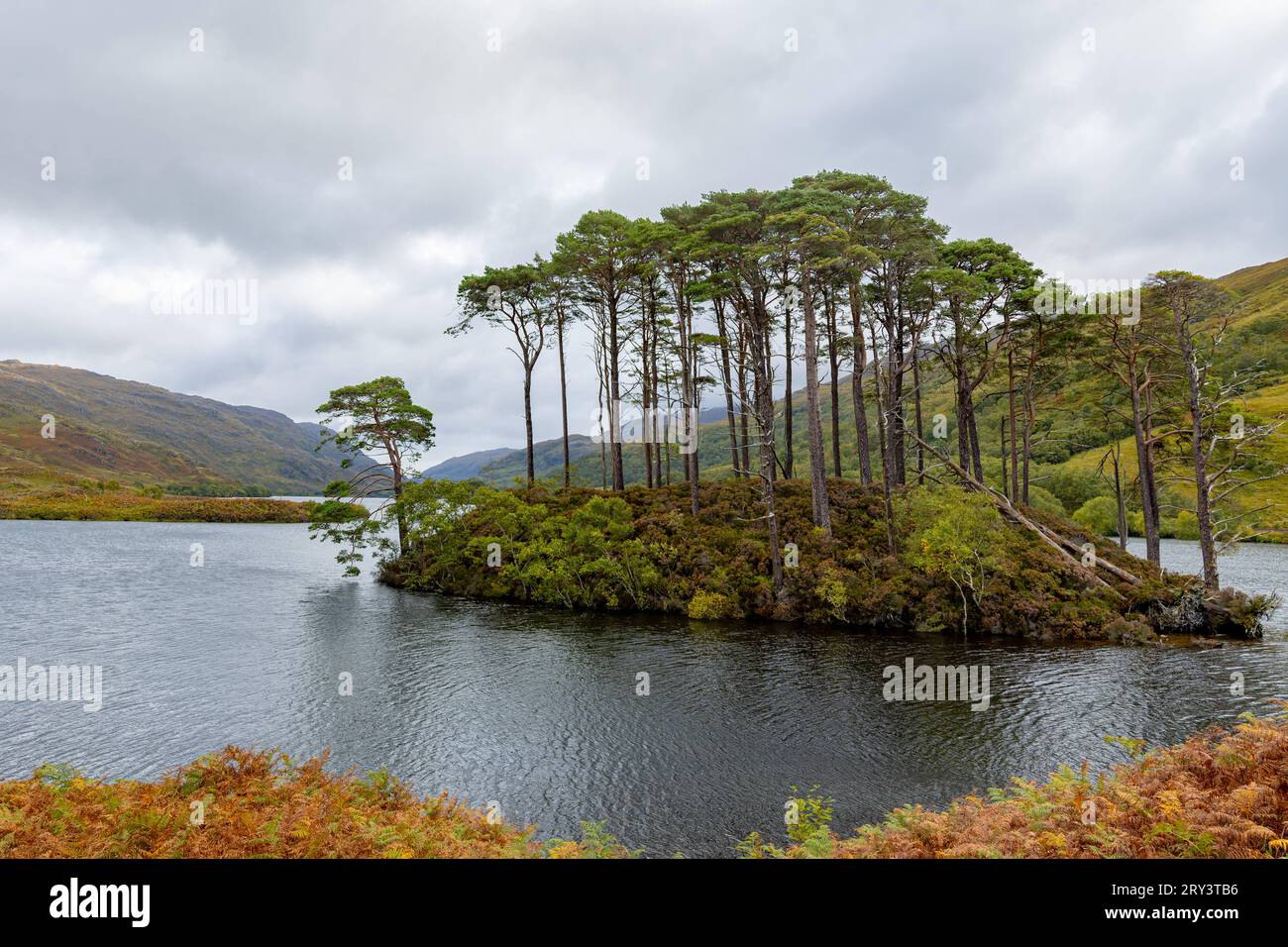 Die Insel Eilean na Moine im Süßwasser See Loch Eilt in den ...