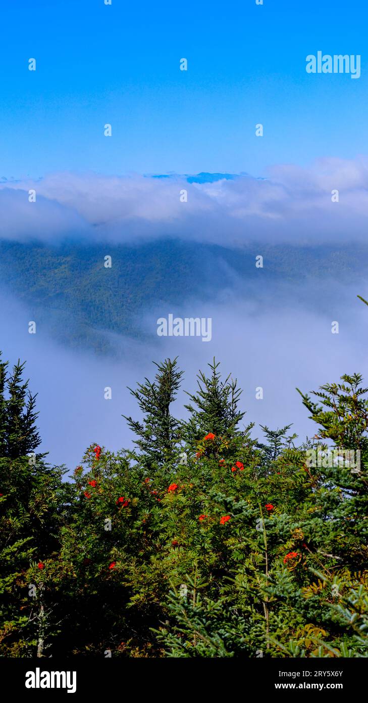 Die mitchell range -Fotos und -Bildmaterial in hoher Auflösung – Alamy
