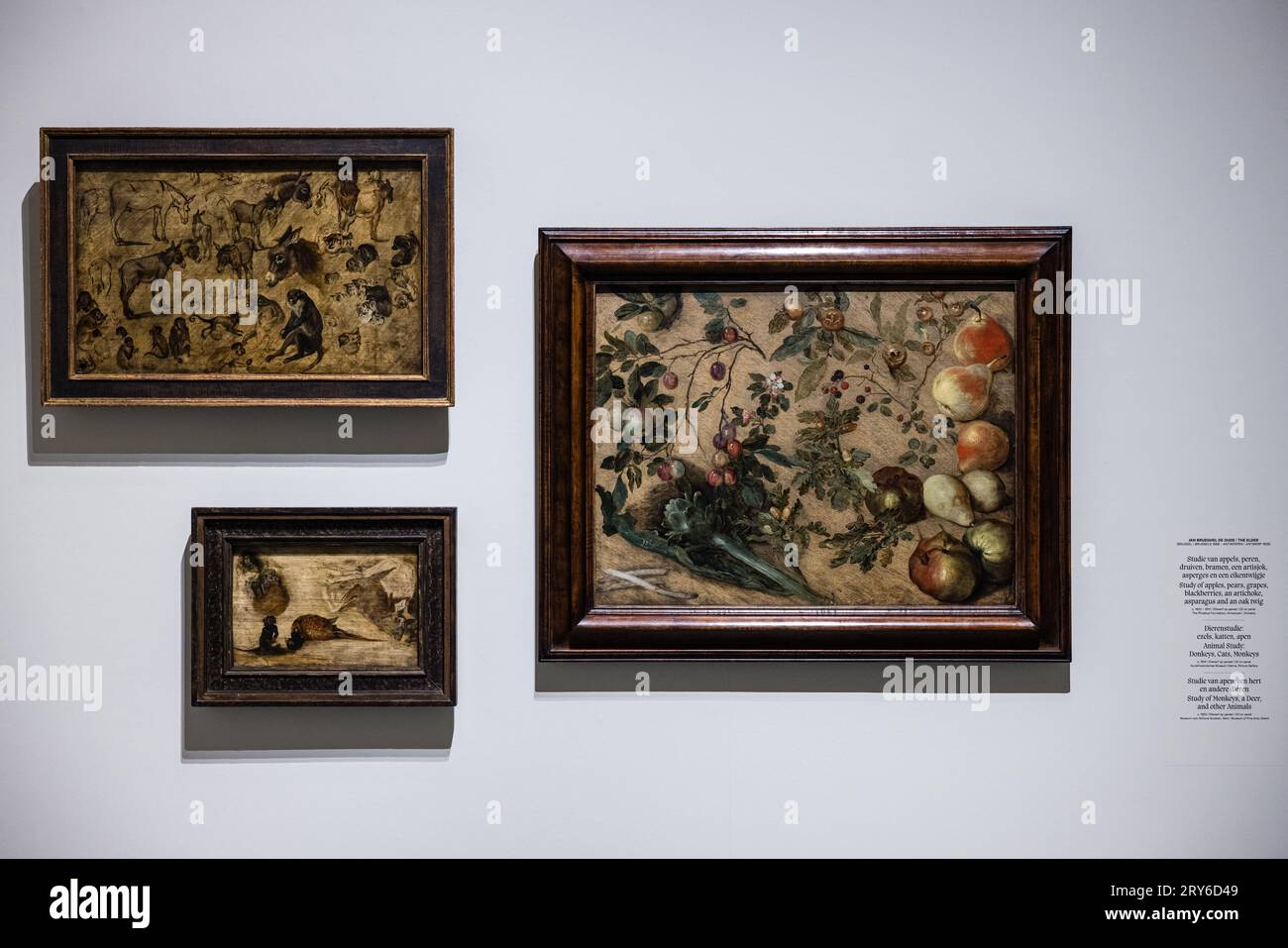 DEN BOSCH - das Noordbrabants Museum zeigt in der Ausstellung Brueghel ...