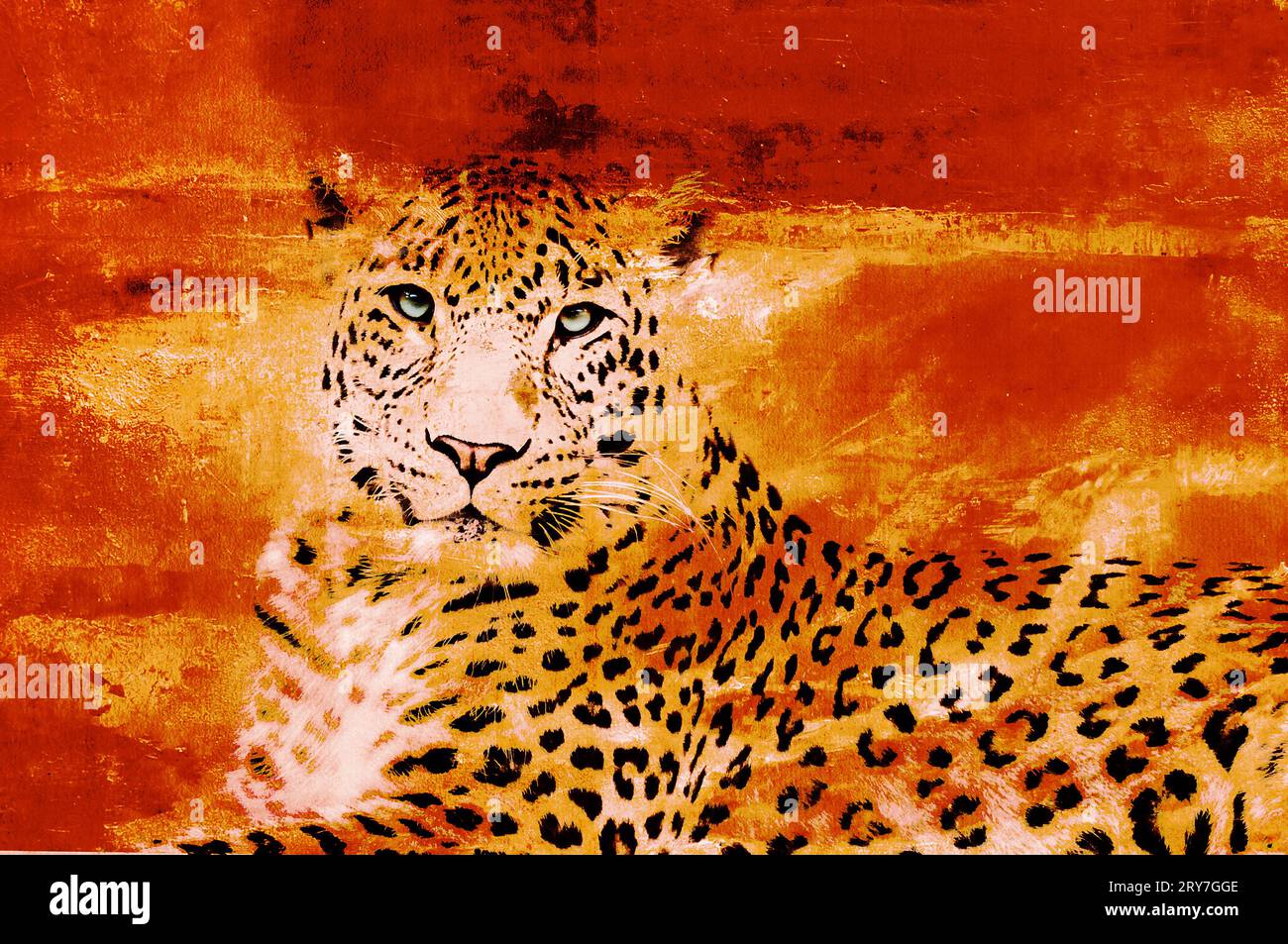 Katze beute -Fotos und -Bildmaterial in hoher Auflösung – Alamy