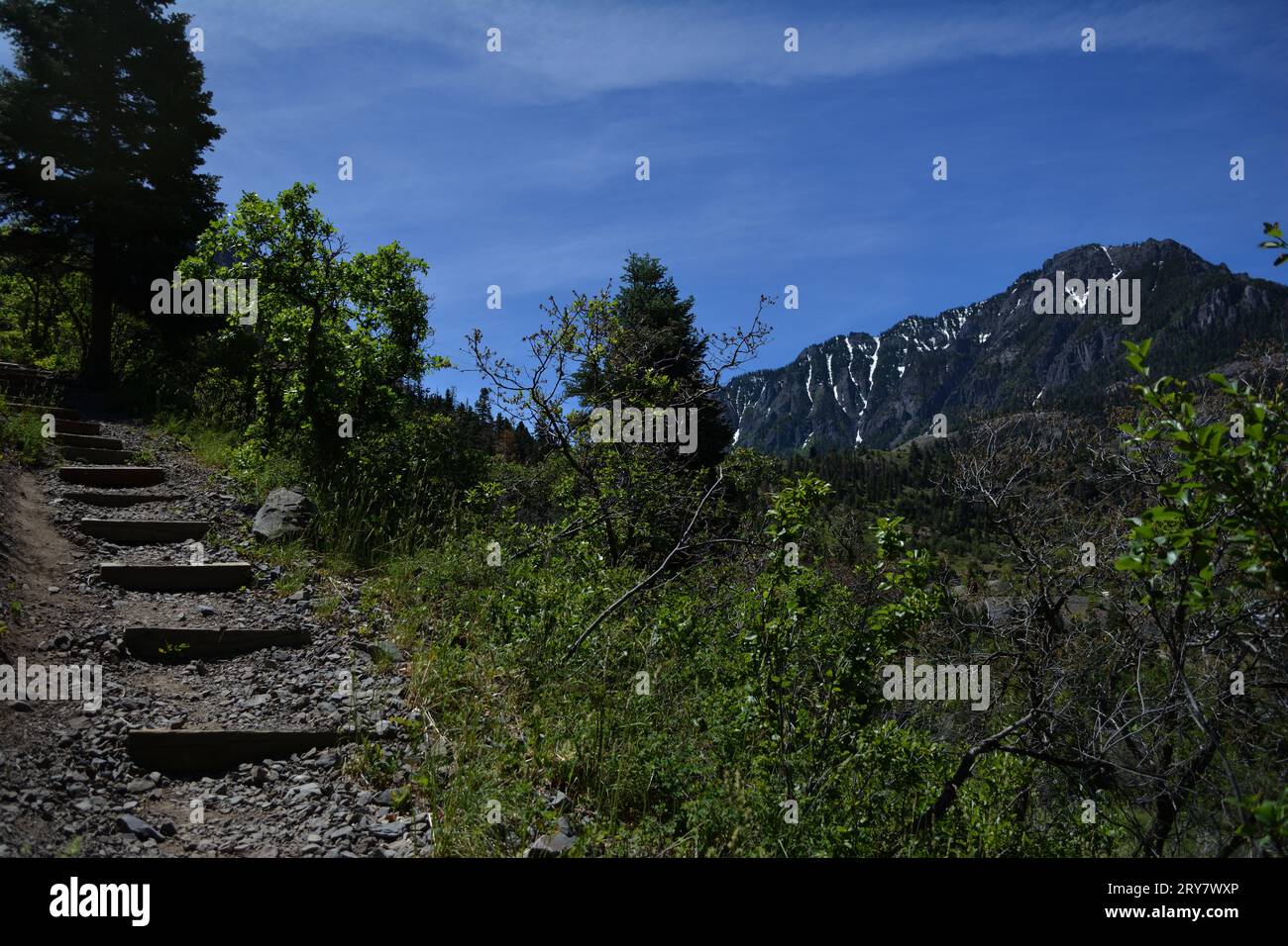 Auf felsigen stufen -Fotos und -Bildmaterial in hoher Auflösung – Alamy