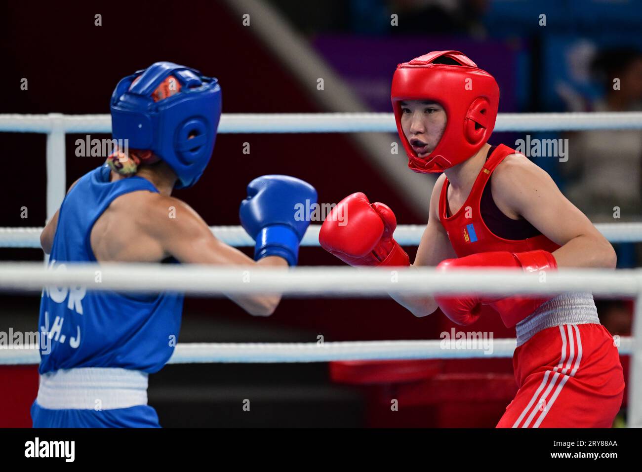 Jin hyejeong -Fotos und -Bildmaterial in hoher Auflösung – Alamy