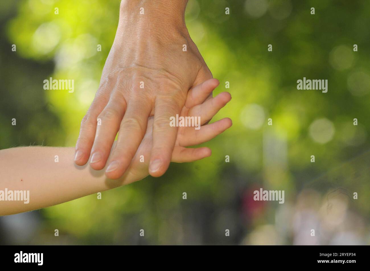 Erziehung per hand -Fotos und -Bildmaterial in hoher Auflösung – Alamy
