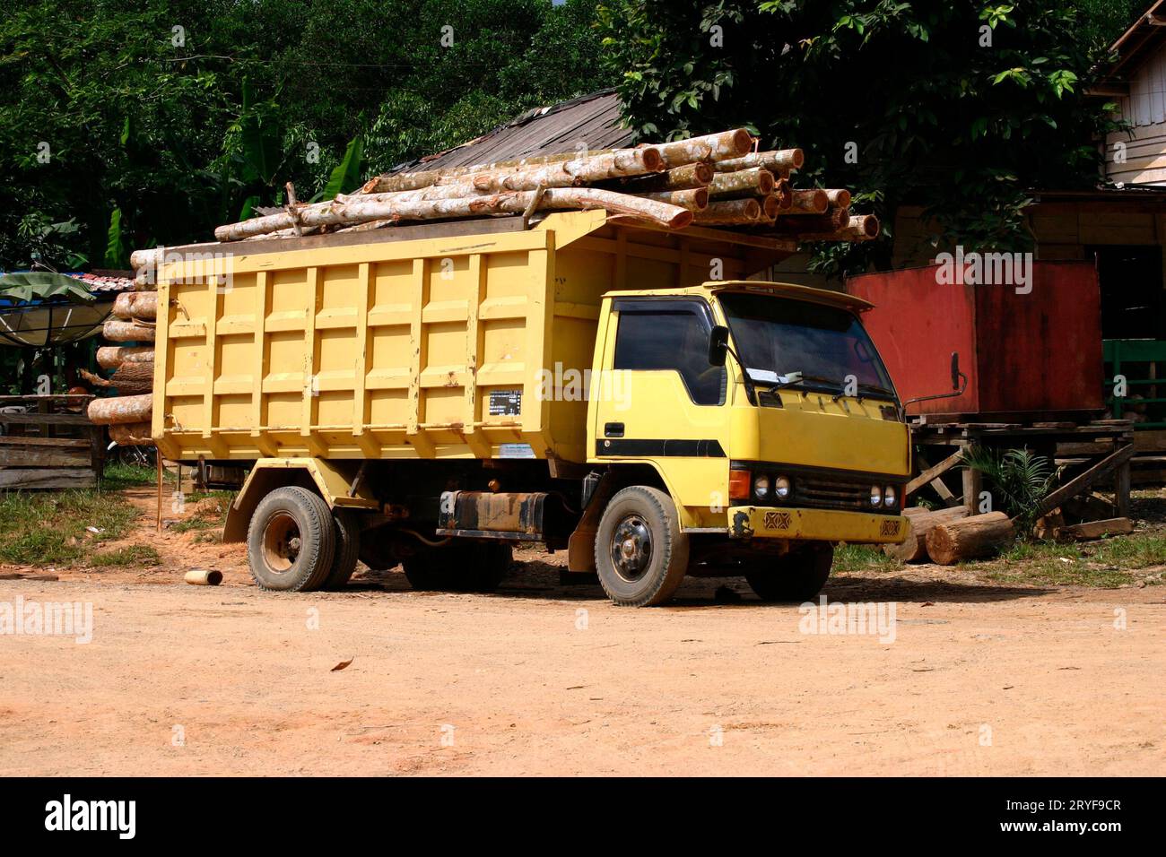 Rodung regenwald -Fotos und -Bildmaterial in hoher Auflösung – Alamy