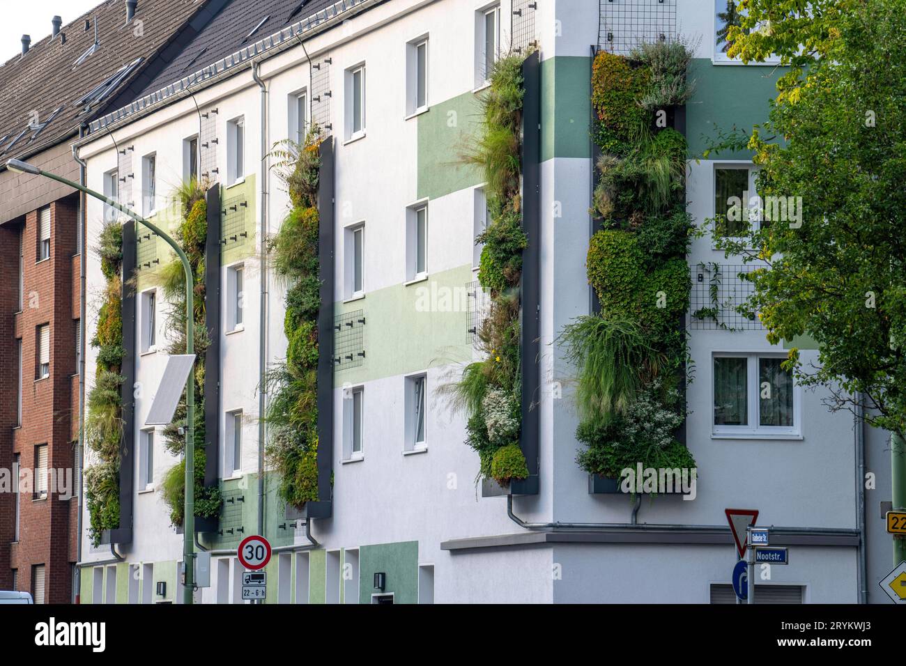 Fassadenbegrünung an Mehrfamilienhäuser, an der Gladbecker Strasse ...