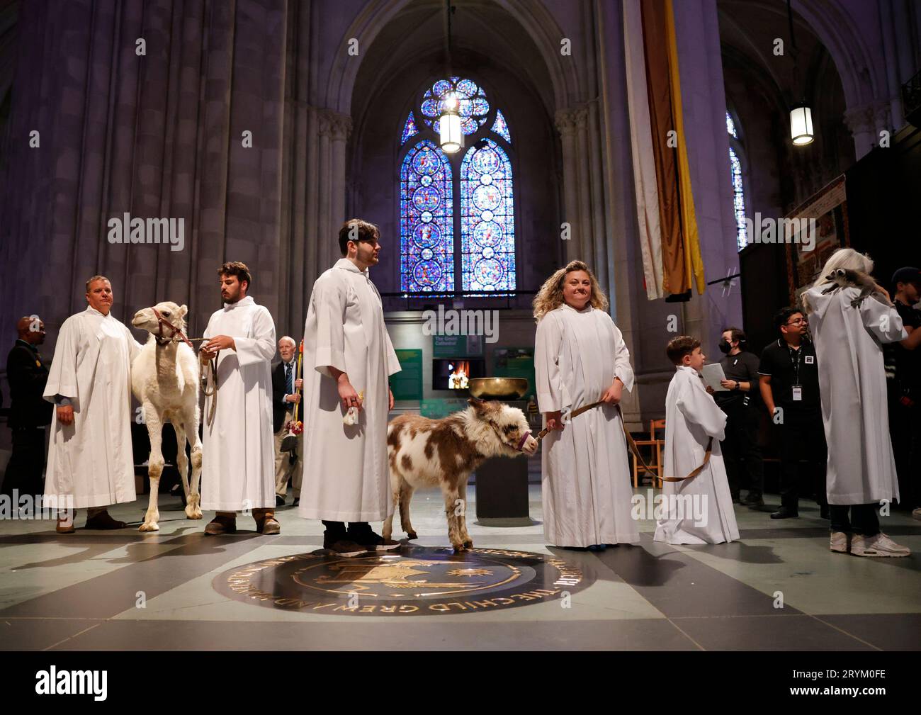 Gönnerdienst -Fotos und -Bildmaterial in hoher Auflösung – Alamy