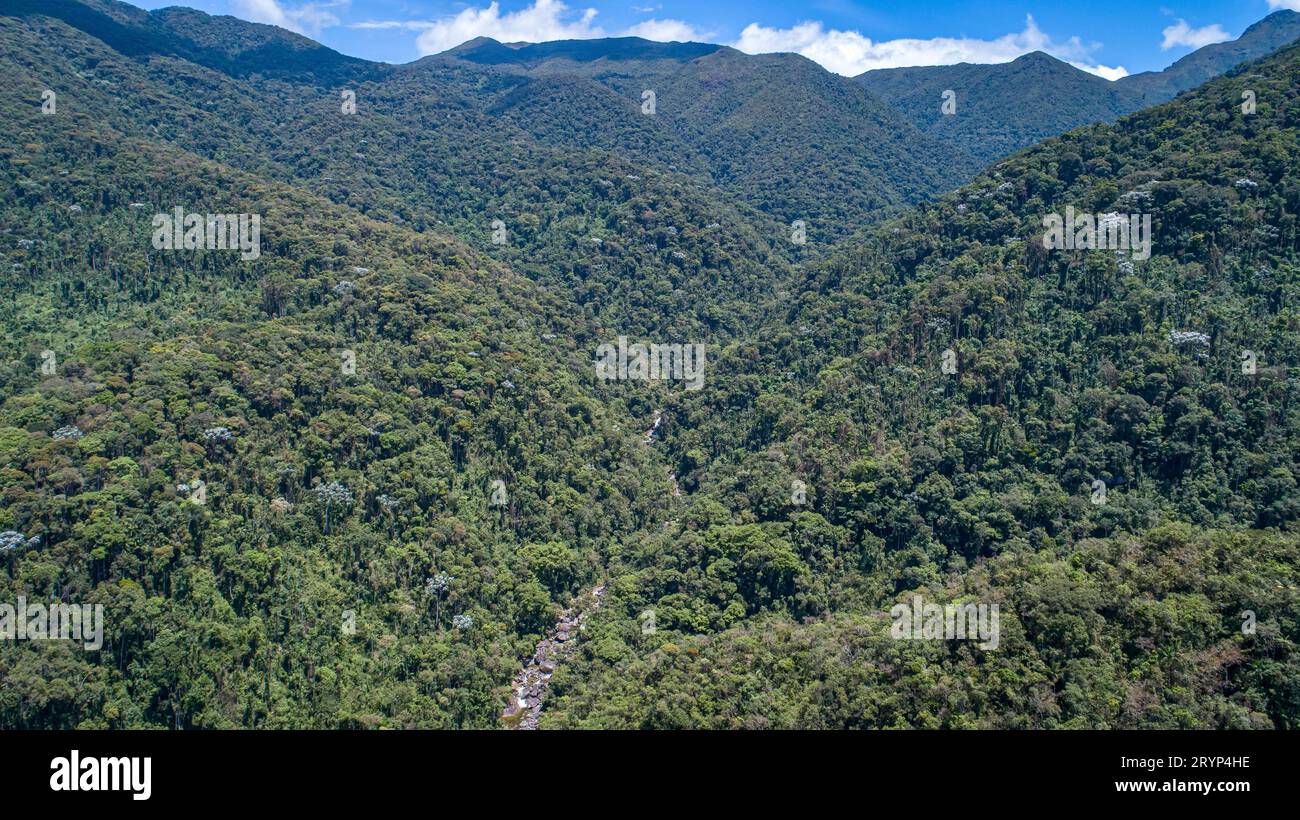 Aus der Vogelperspektive auf ein Tal in der Serra de mantiqueira ...