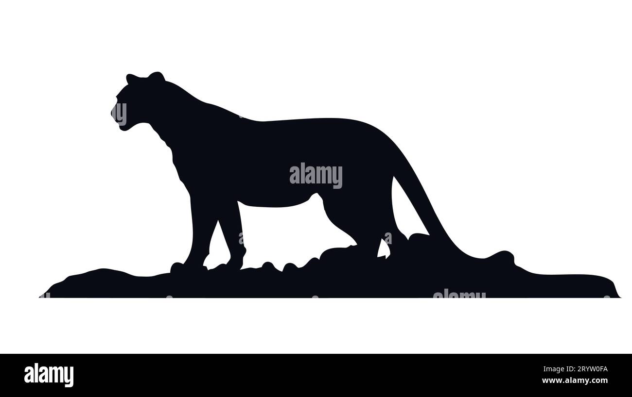 Gepard drawing -Fotos und -Bildmaterial in hoher Auflösung – Alamy