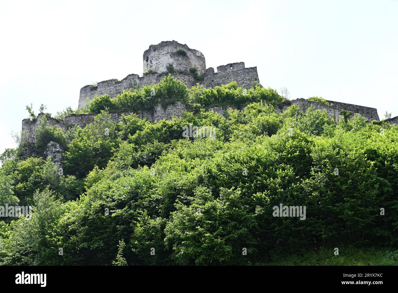 Schloss klamm -Fotos und -Bildmaterial in hoher Auflösung – Alamy
