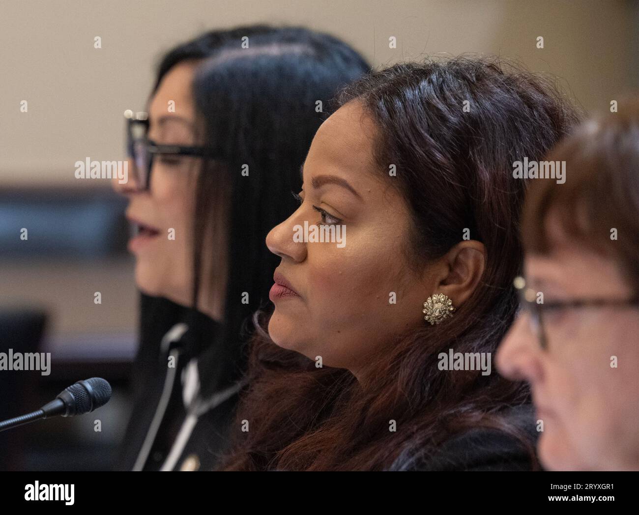 Jaime Williams, Mitglied der Versammlung (D-59th District), New York ...