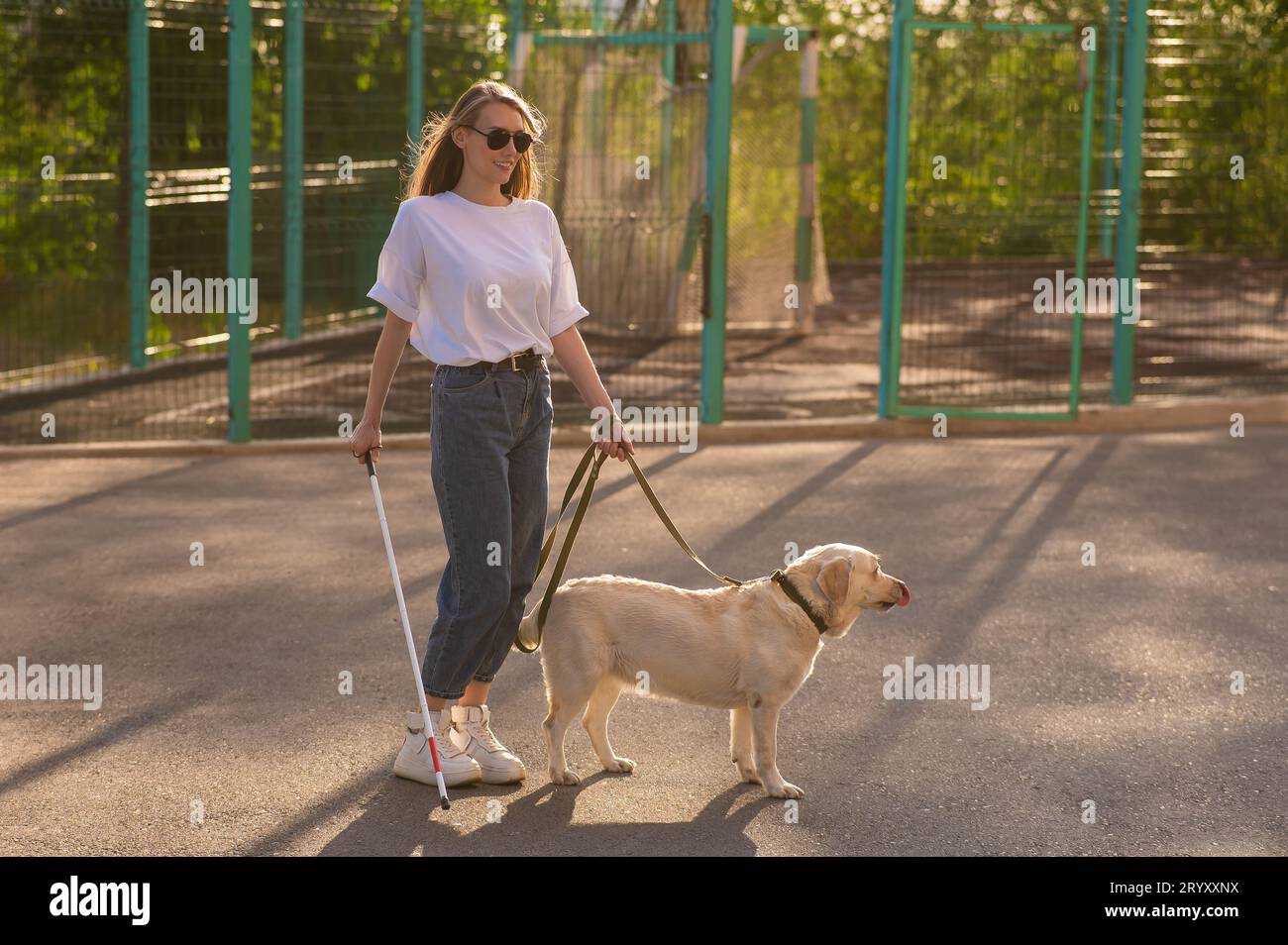 Blinde Frau mit Blindenhund Stockfotografie - Alamy