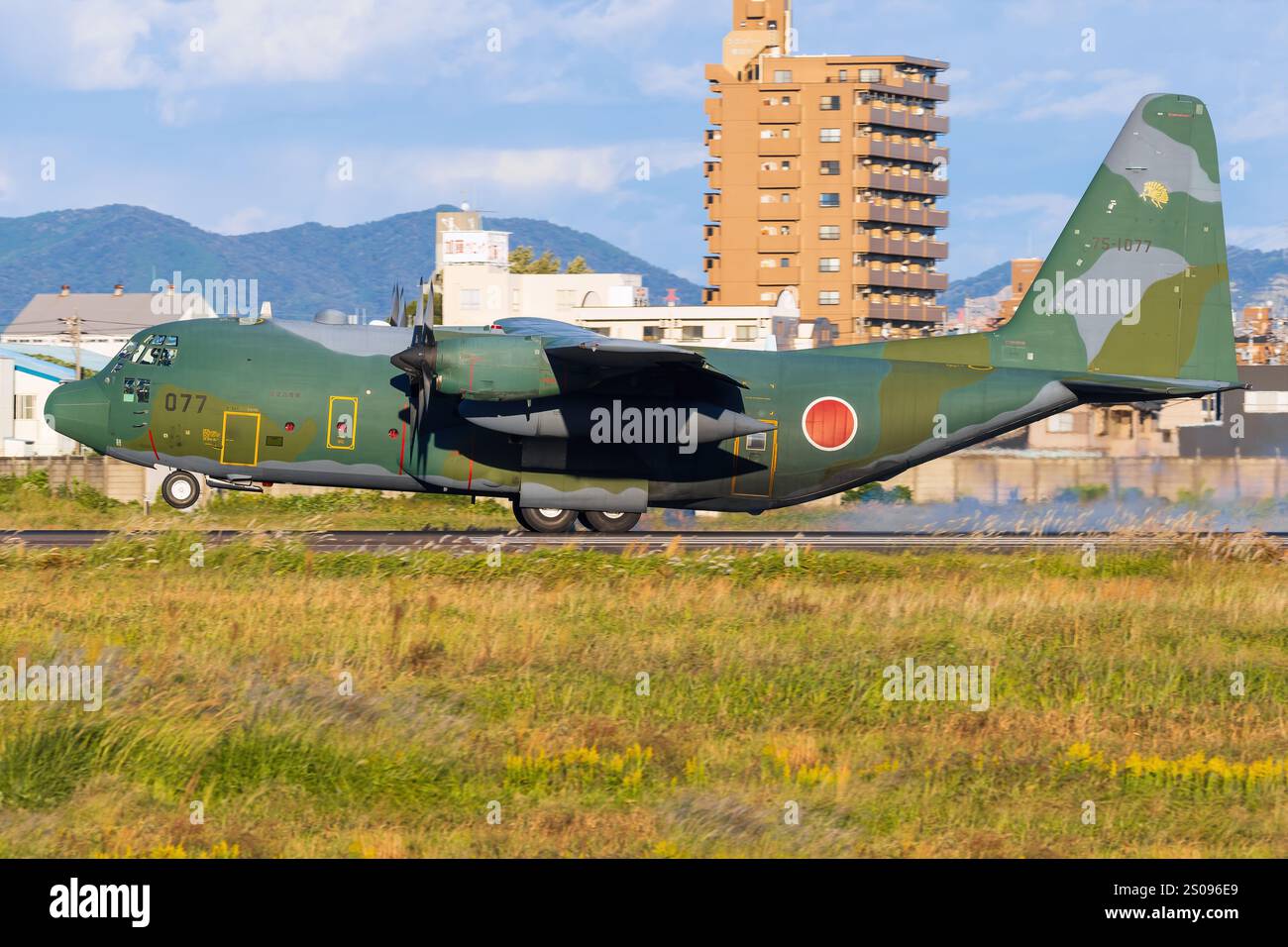 Japan, am 12. November 2024: Lockheed Hercules C-130 auf der Iruma Air ...