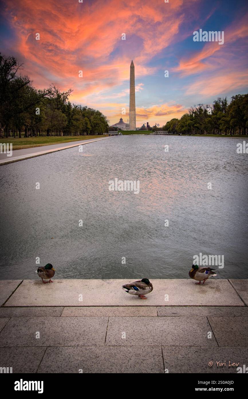 Umriss des washington monuments -Fotos und -Bildmaterial in hoher Auflösung – Alamy