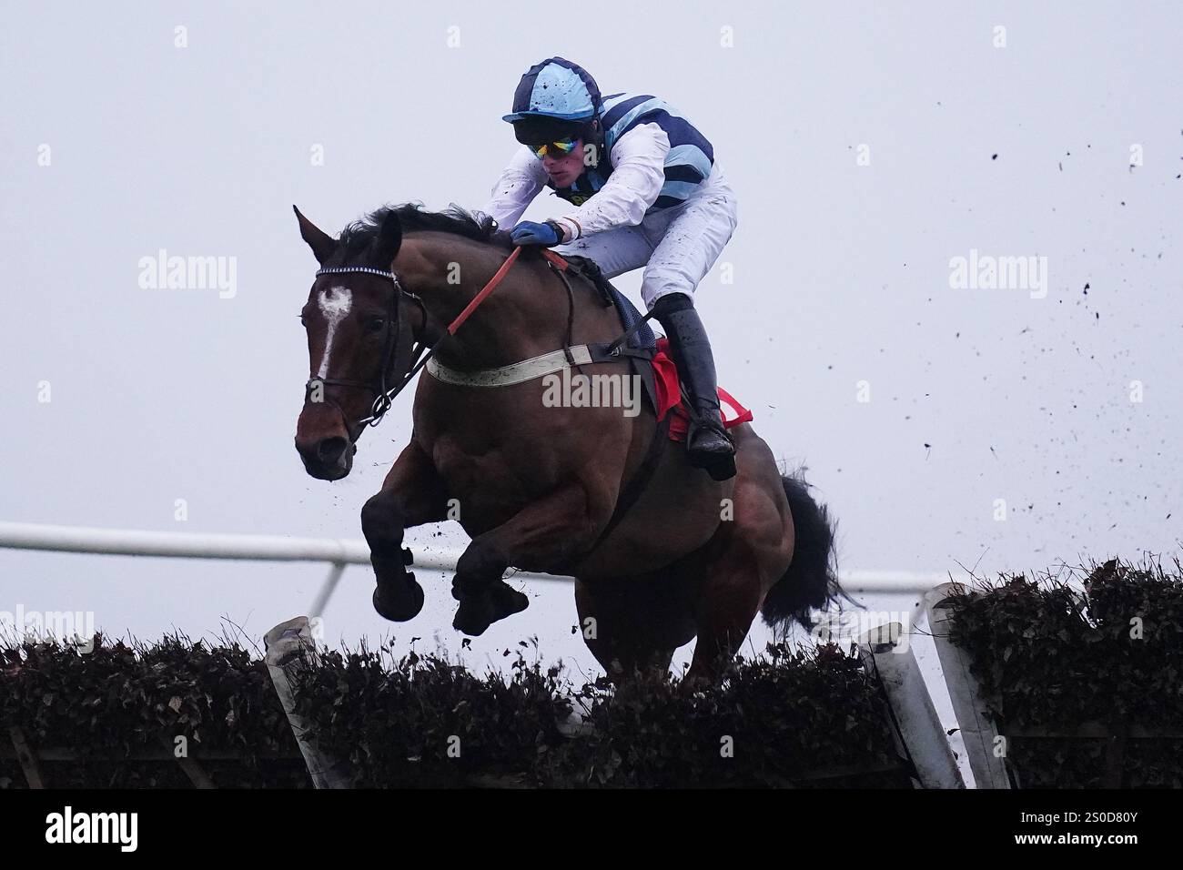 Big Boy Bobby, geritten von Phillip Armson, nimmt an der Handicap-Hürde ...