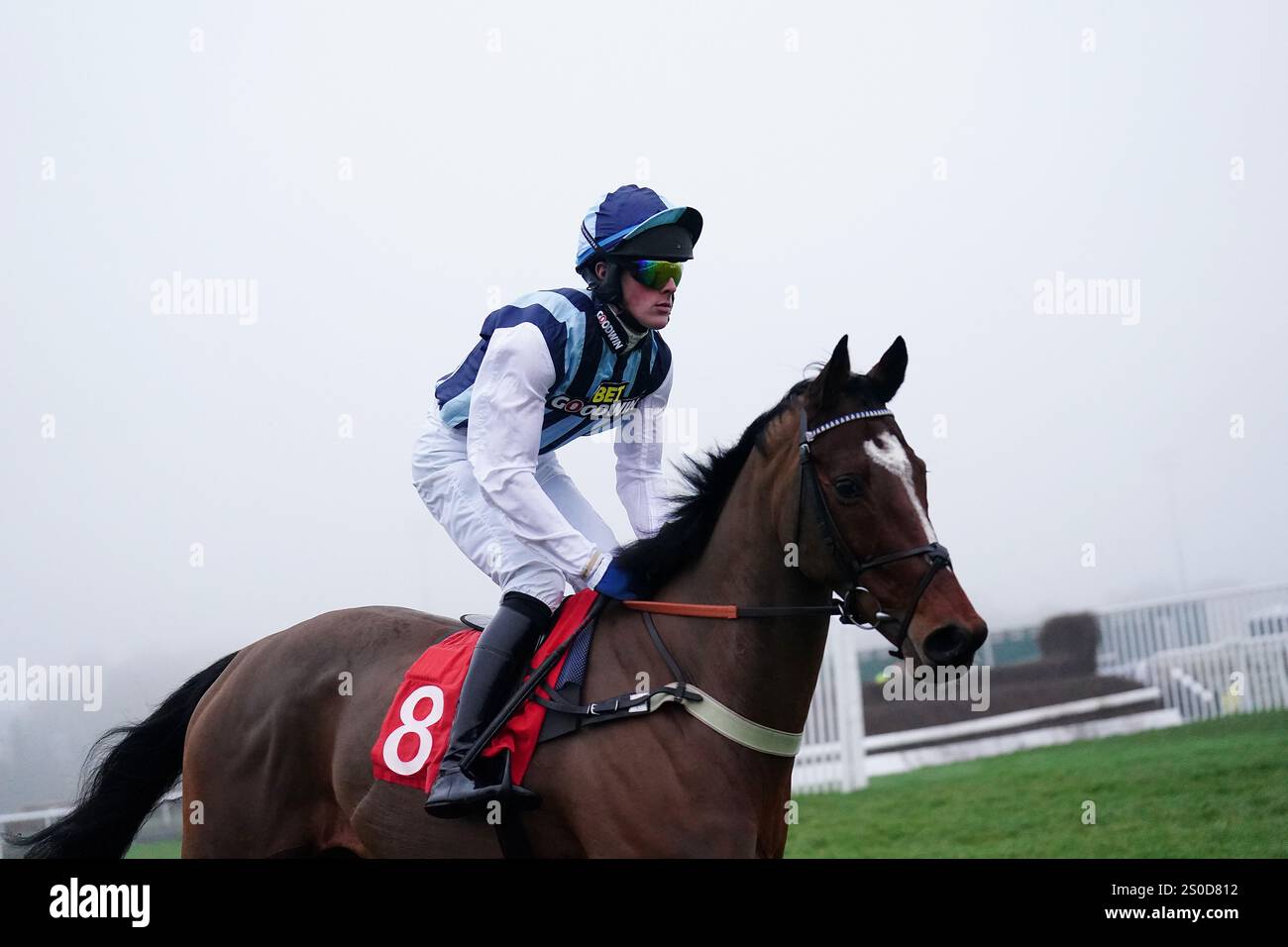 Big Boy Bobby, geritten von Phillip Armson, nimmt an der Handicap-Hürde ...