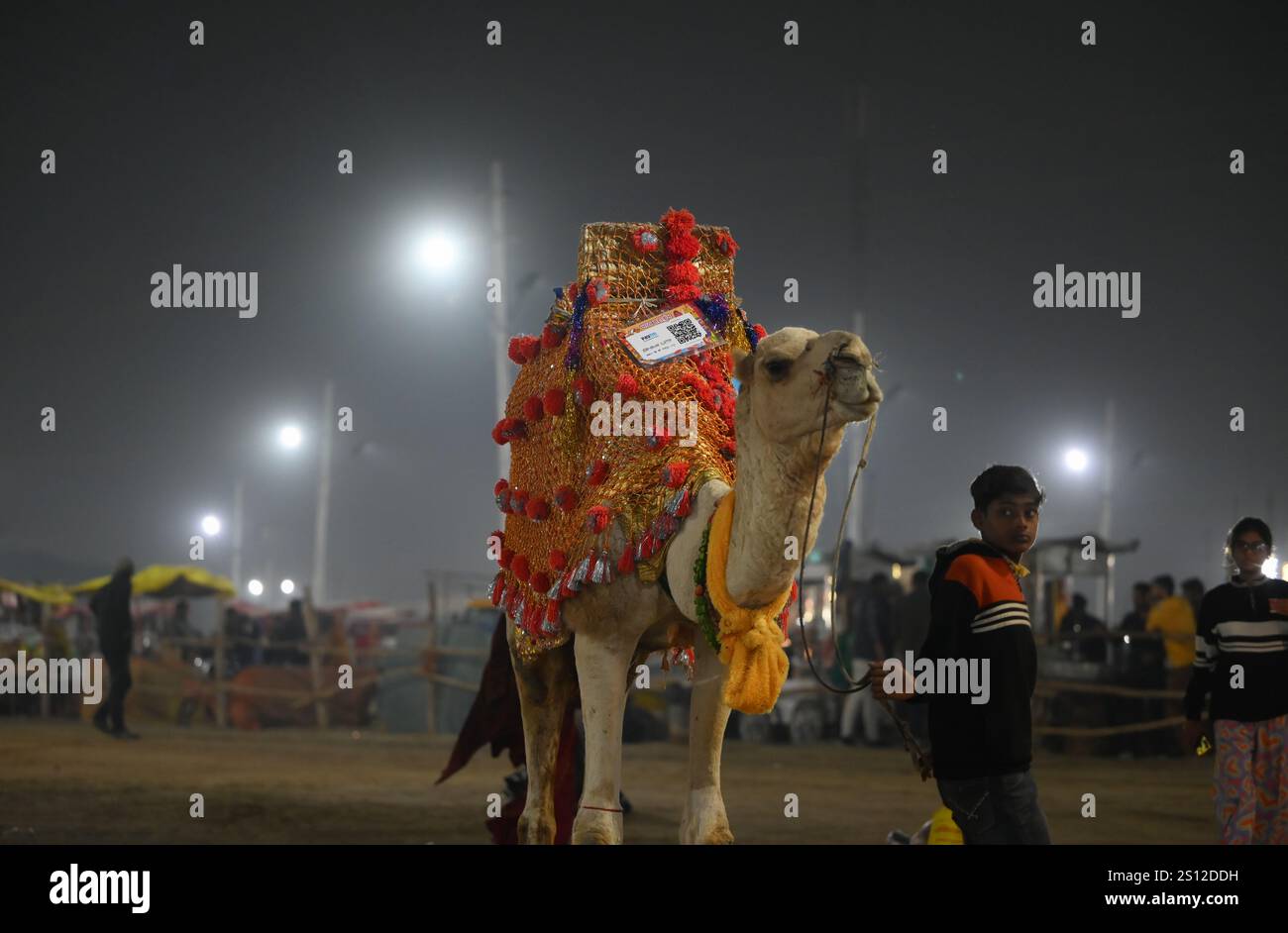 PRAYAGRAJ, INDIEN - DEZEMBER 30: Digital Kumbh – Menschen, die dieses ...