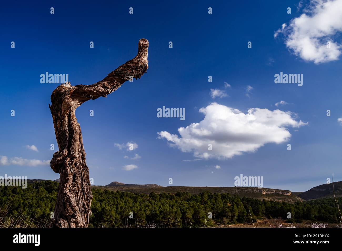 Jalon valley -Fotos und -Bildmaterial in hoher Auflösung – Alamy