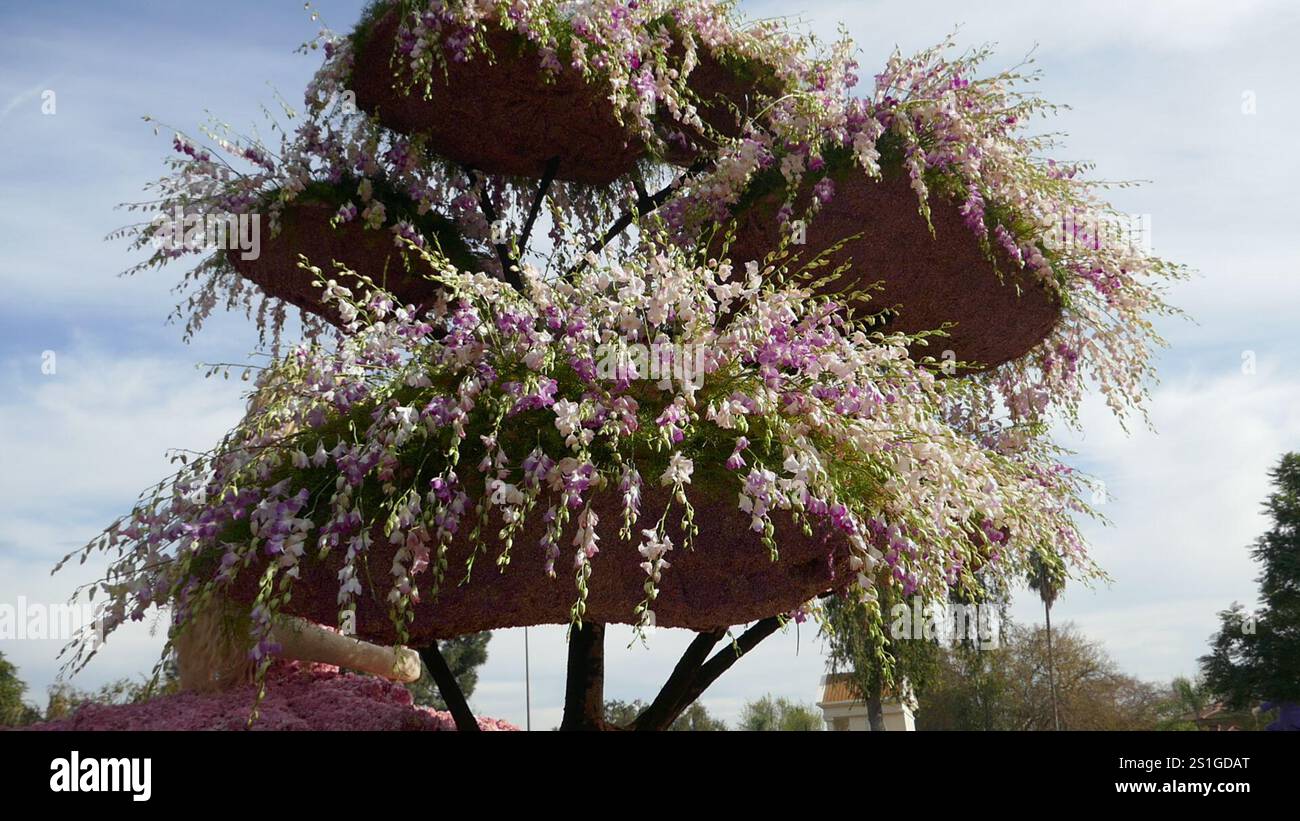 Pasadena, Kalifornien, USA 3. Januar 2025, 2025 Ariana Grande Glinda ...