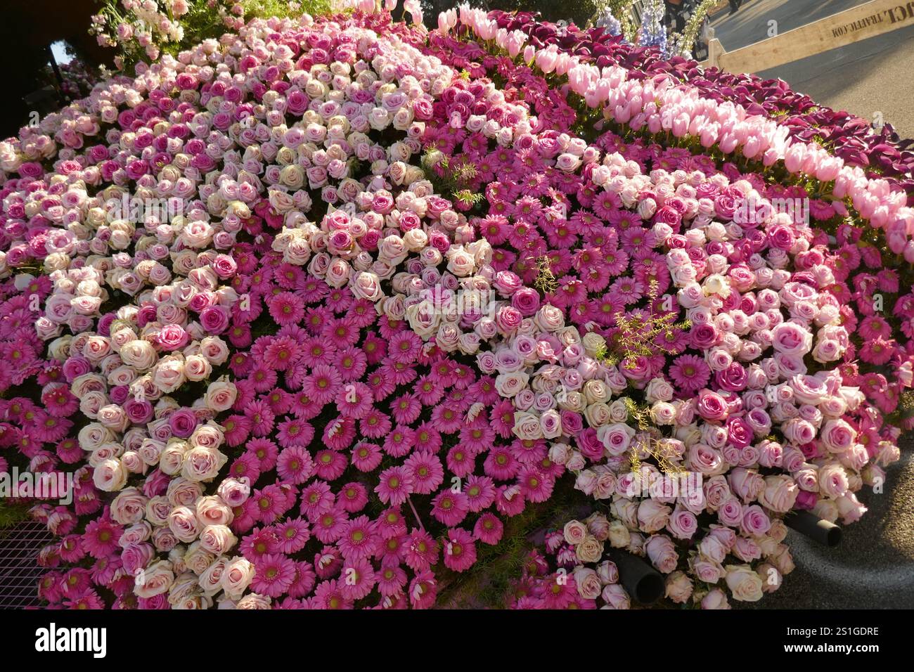 Pasadena, Kalifornien, USA 3. Januar 2025 um 2025 Ariana Grande Glinda ...