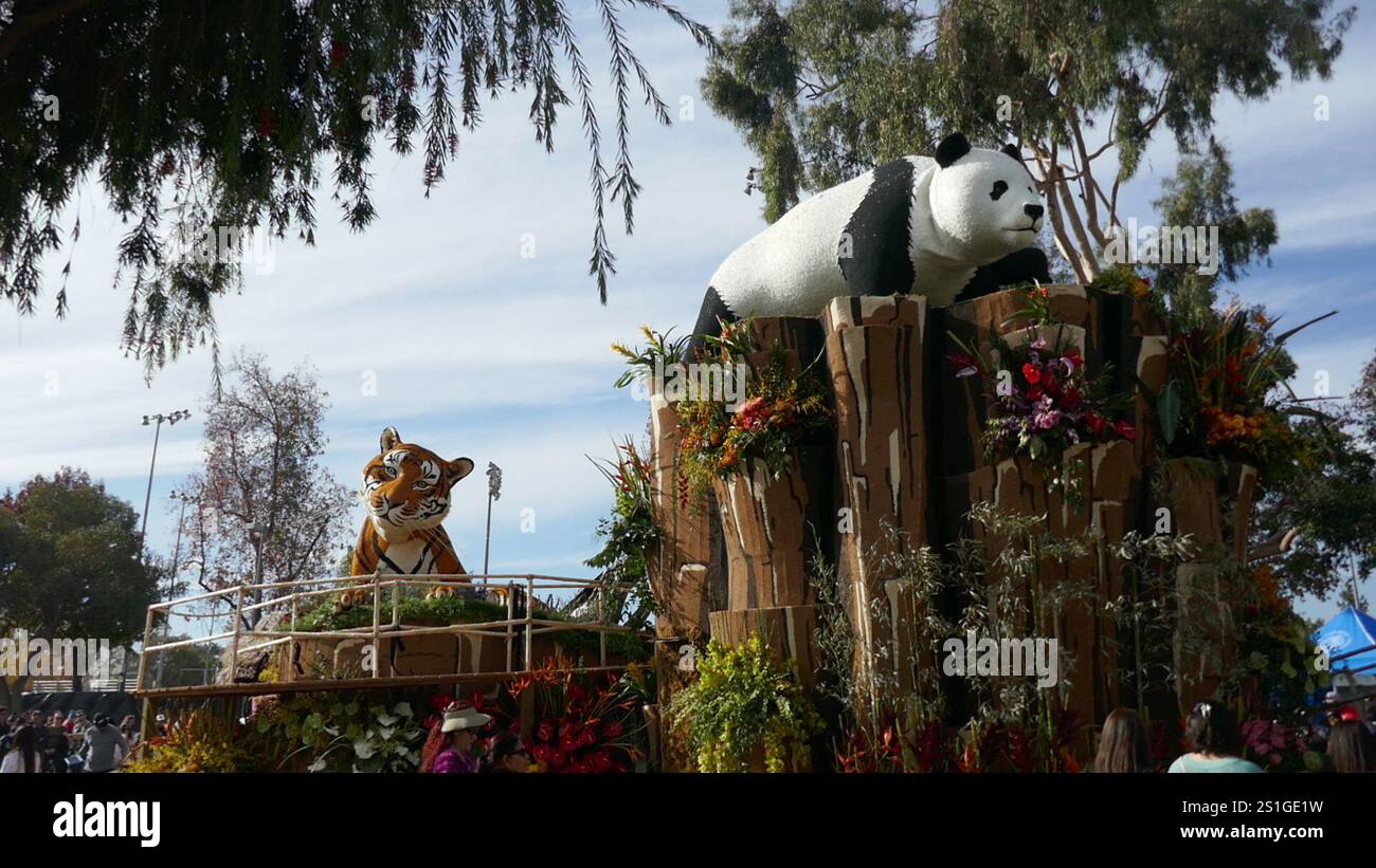 Pasadena, Kalifornien, USA 3. Januar 2025 im 2025 Tiger and Pandas on ...