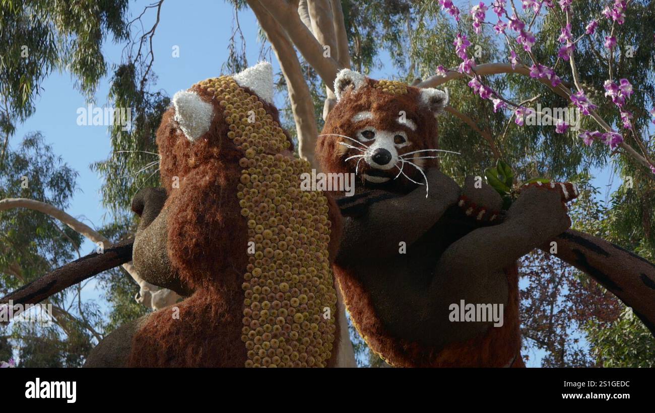 Pasadena, Kalifornien, USA 3. Januar 2025 bei 2025 Red Pandas am San ...