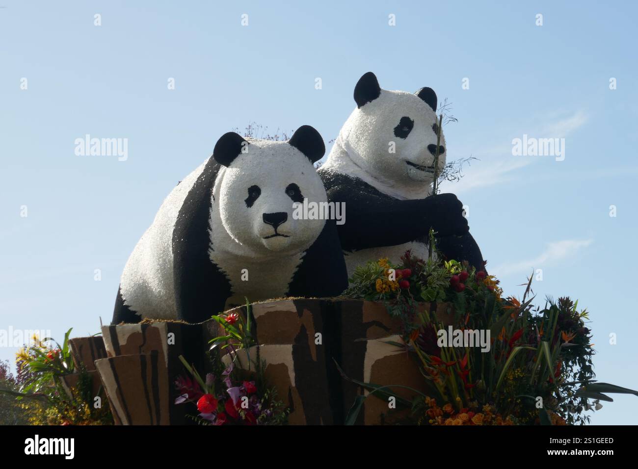 Pasadena, Kalifornien, USA 3. Januar 2025 im 2025 Pandas on San Diego ...