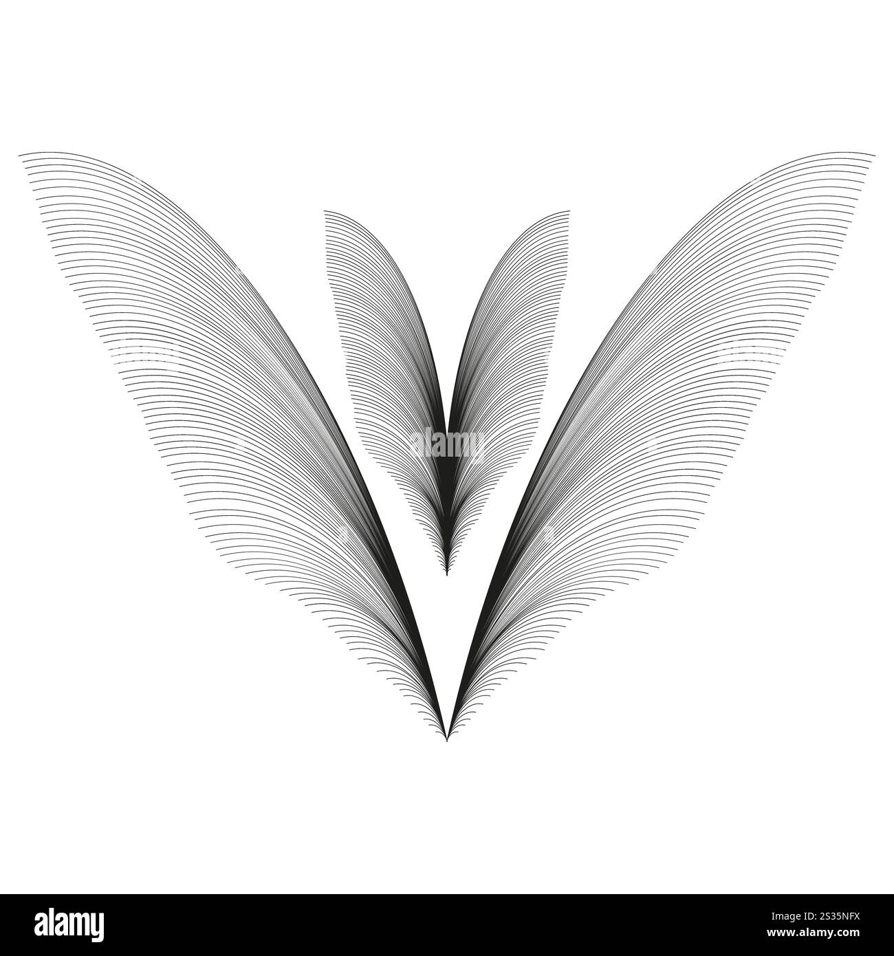 Feine linien umriss -Fotos und -Bildmaterial in hoher Auflösung – Alamy