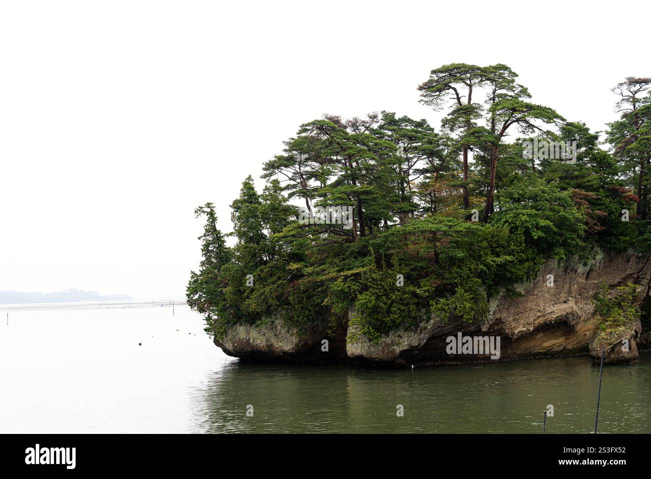 Die Felsformationen in Matsushima Bay, Japan, bestehen aus Tuff ...