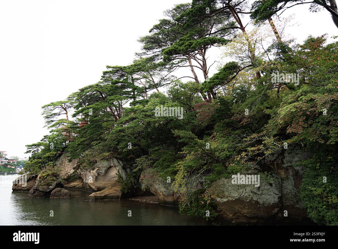 Die Felsformationen in Matsushima Bay, Japan, bestehen aus Tuff ...