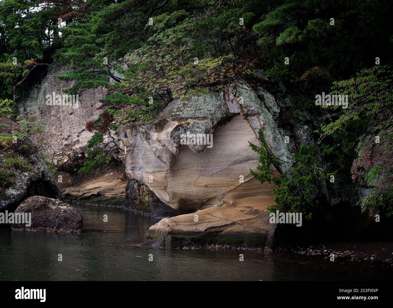 Die Felsformationen in Matsushima Bay, Japan, bestehen aus Tuff ...